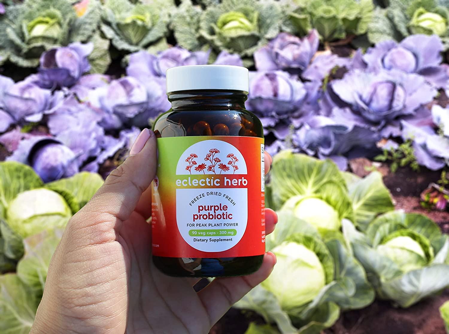 Eclectic Institute Raw Fresh Freeze-Dried Purple Probiotic 300mg - 90 ...