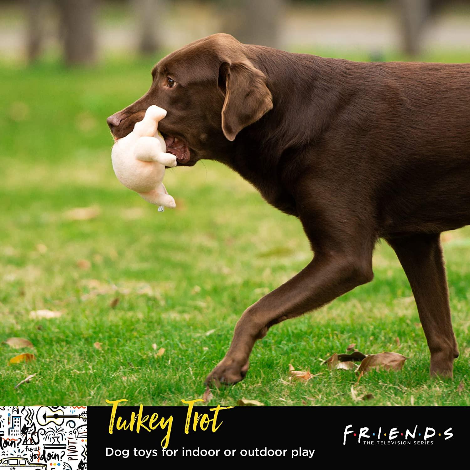 Friends the TV Show Plush Dog Toy - Stuffed Friends Toys for Dogs ...