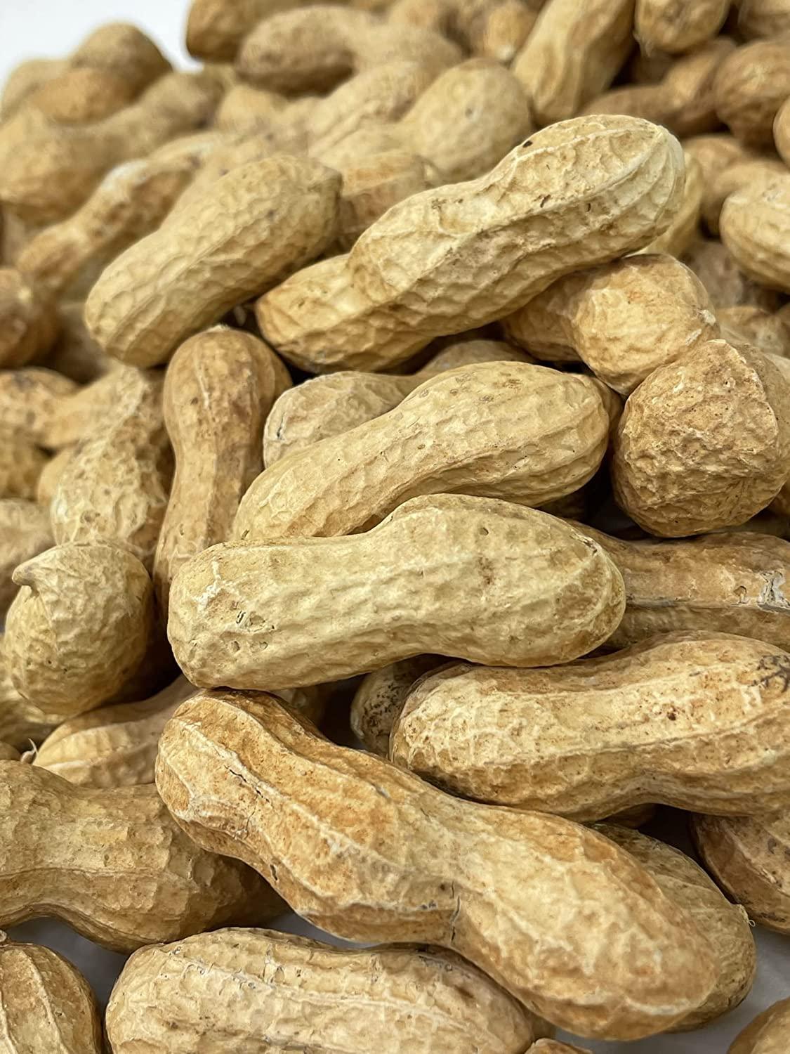 Peanuts in Shell Bird Feed - 10LB | Premium Animal Feed | Buy Now with ...