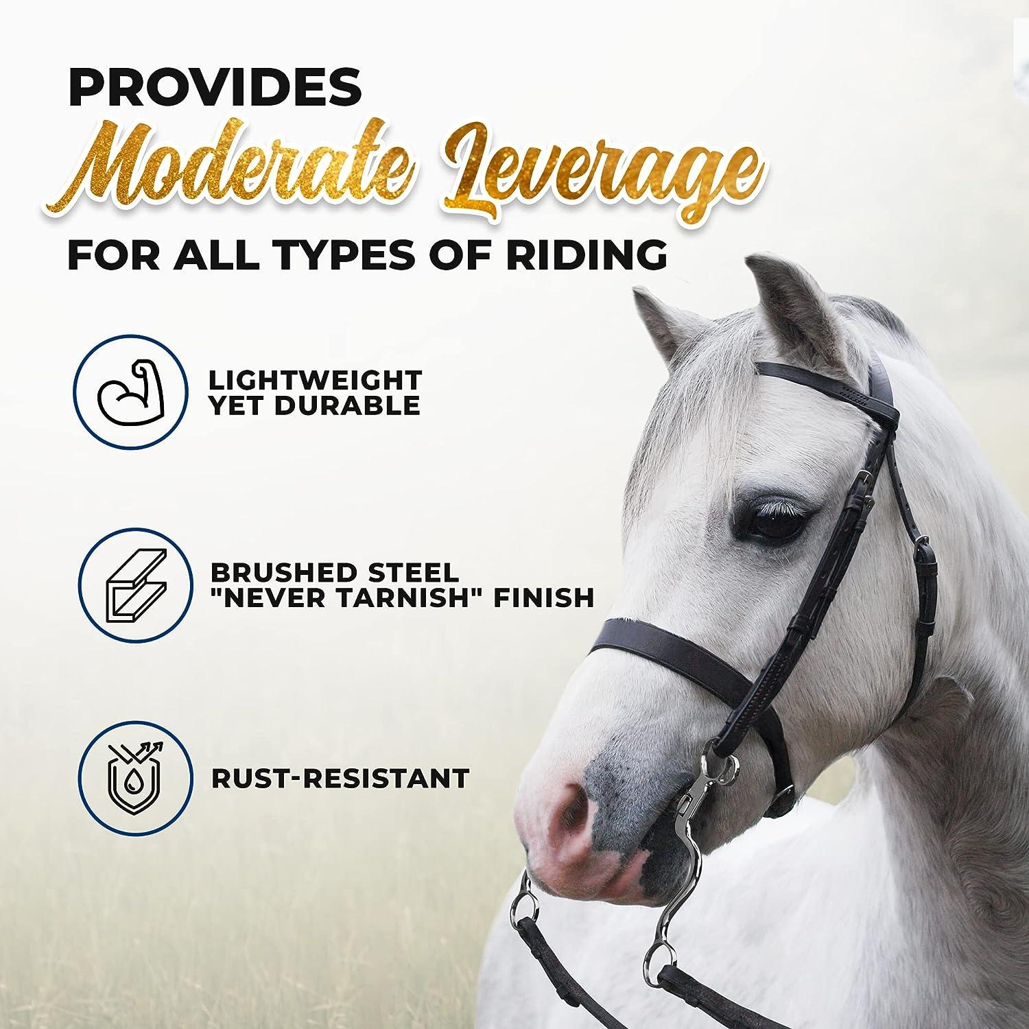 Colorado Saddlery S Cheek Curb Bit - High-Quality Horse Riding ...