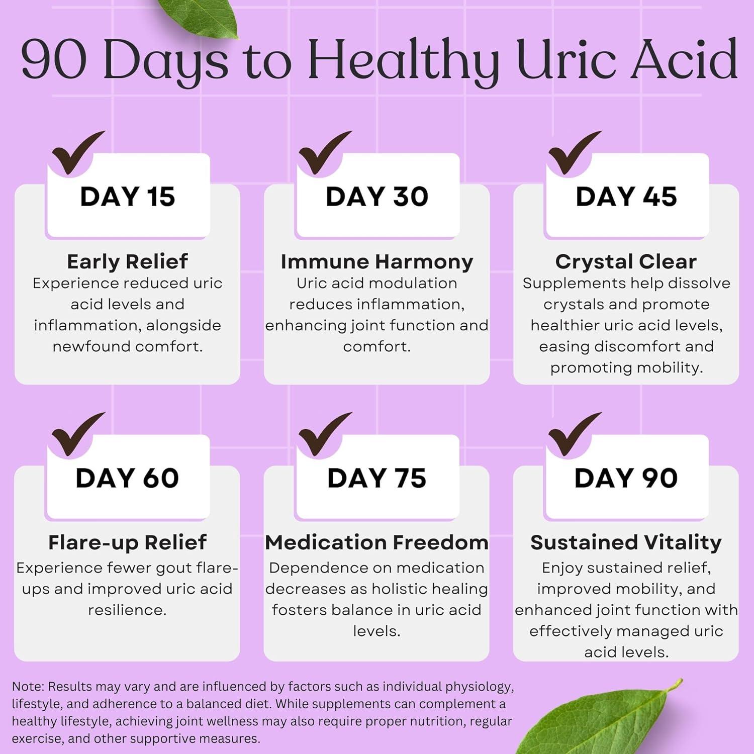 Uric Acid Support Advanced Formula - Detox & Balance Uric Acid Levels ...