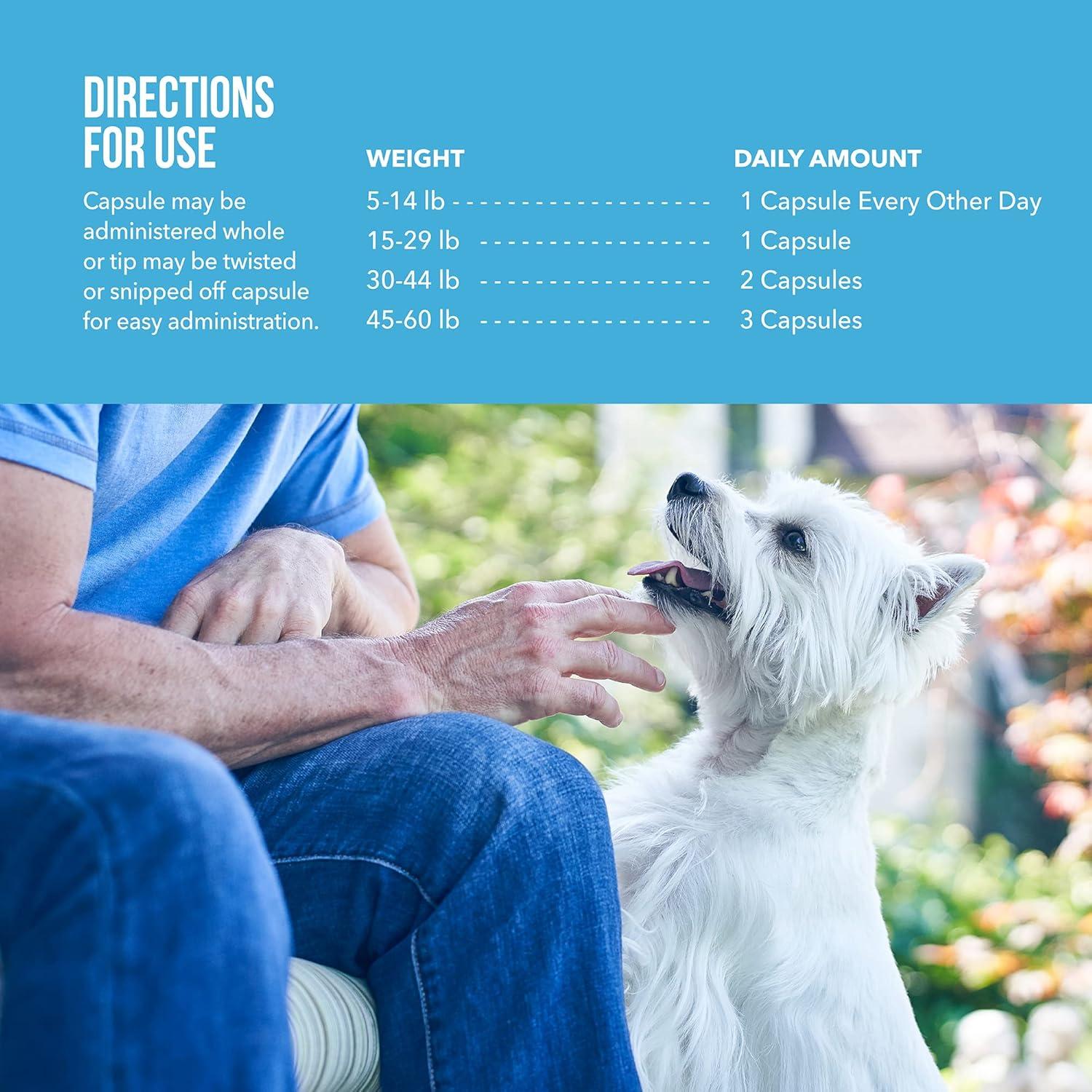 Free Form Snip Tips Omega-3 Fish Oil Liquid Supplement for Small Dogs ...