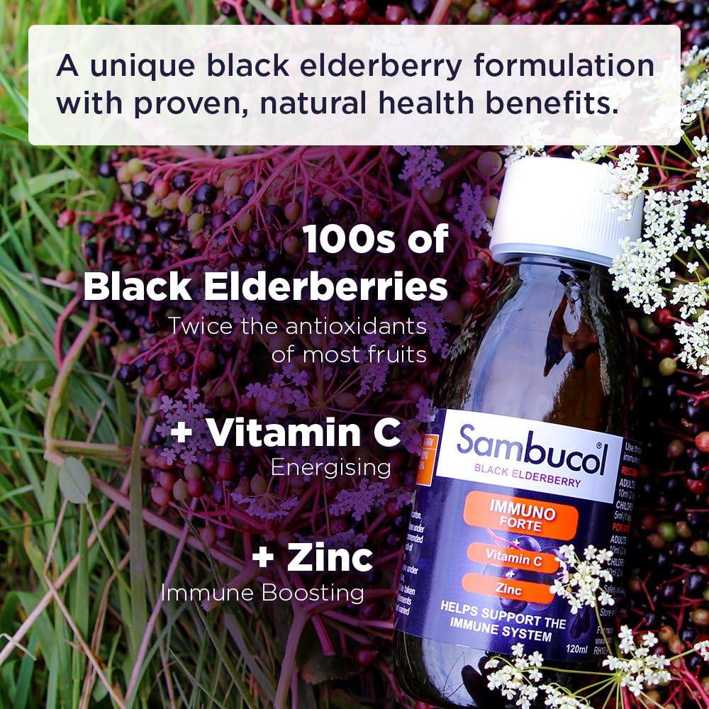 Sambucol Black Elderberry Immuno Forte Liquid Syrup 120ml - Immune ...