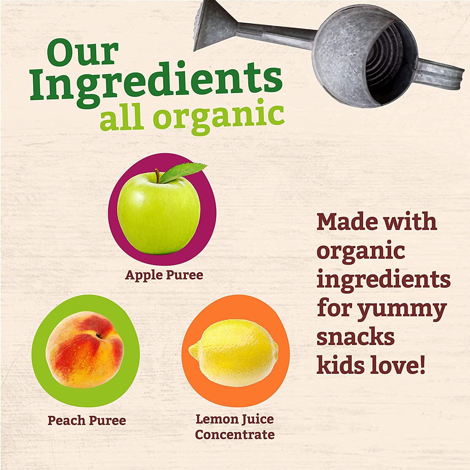 Peter Rabbit Organics Apple & Peach Fruit Snack Squeeze Pouch - 4oz ...