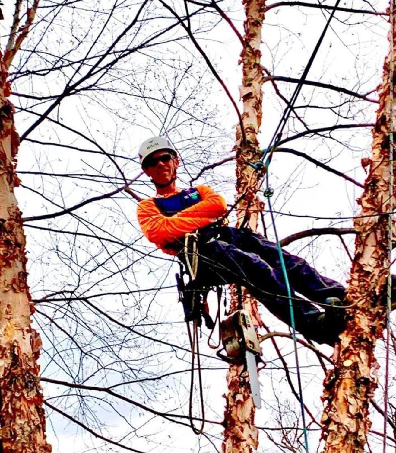 Northpada 10mm Static Safety Climbing Rope - 20m Rock Climbing Fire ...