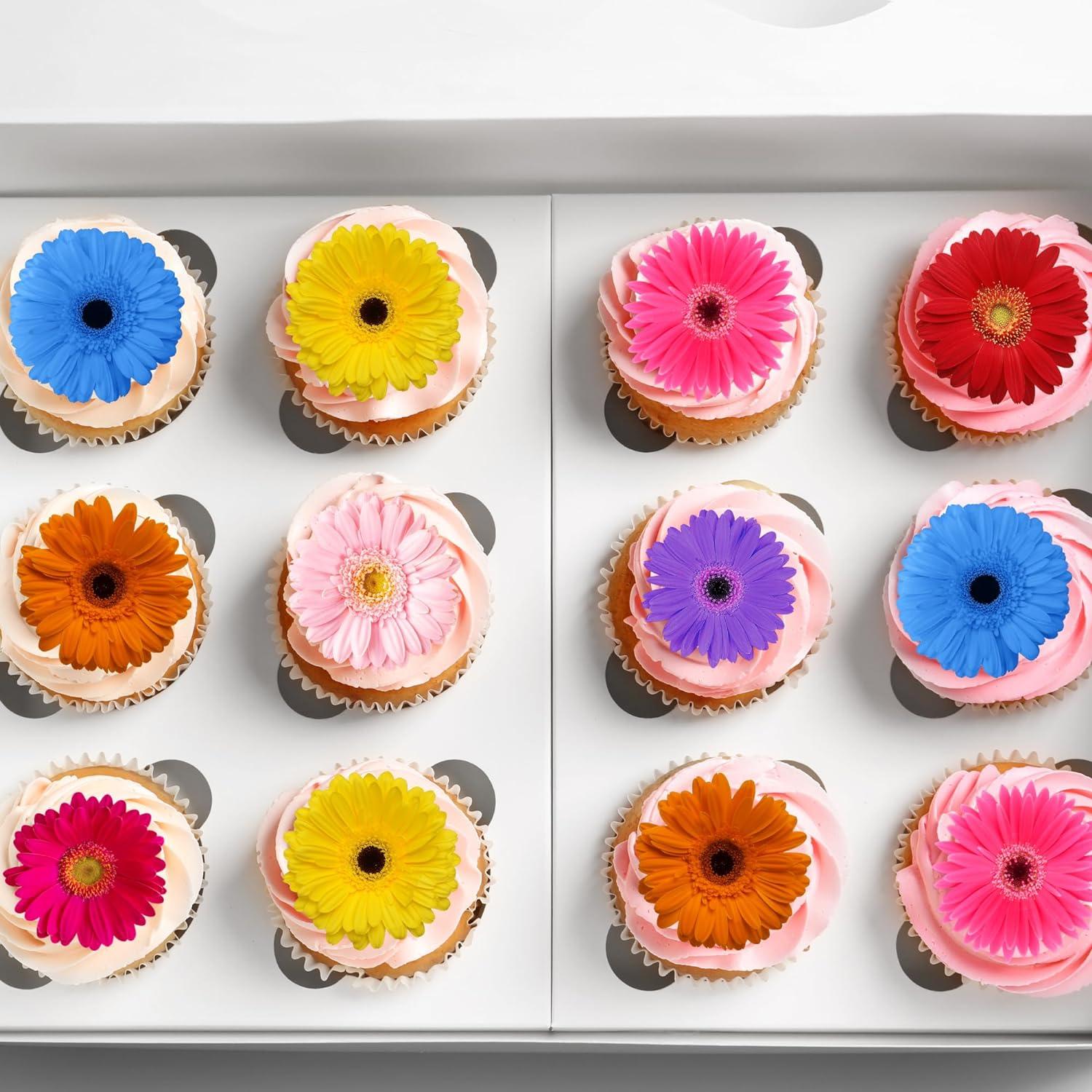 24 x Precut Gerbera Multicolour Flower Edible Wafer Paper 2D Floral ...