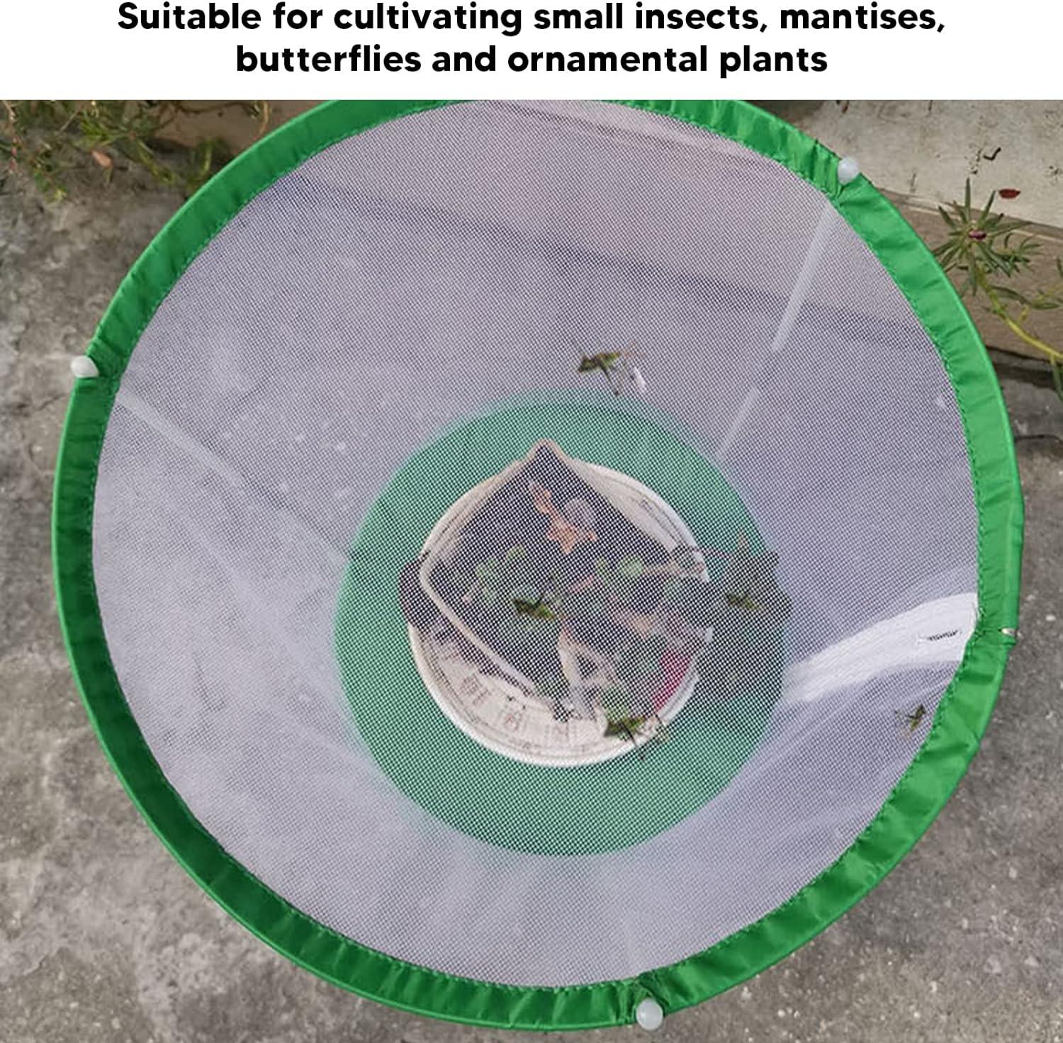 CHICIRIS Butterfly Habitat Cylindrical Monarch Butterfly Enclosure ...