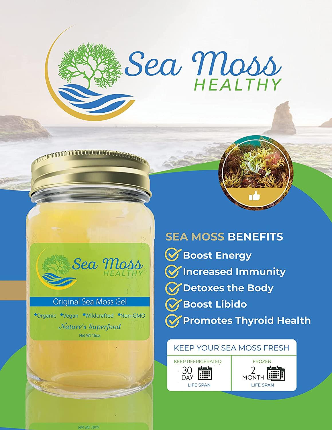 Wildcrafted Organic Irish Sea Moss Gel - Non-GMO, Natural, Vitamin ...
