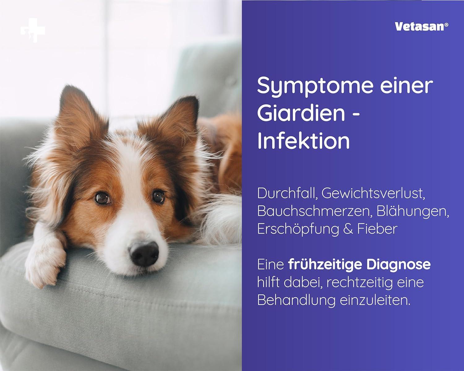 Vetasan 1x Giardia Quick Test for Dogs & Cats | Professional Giardia ...