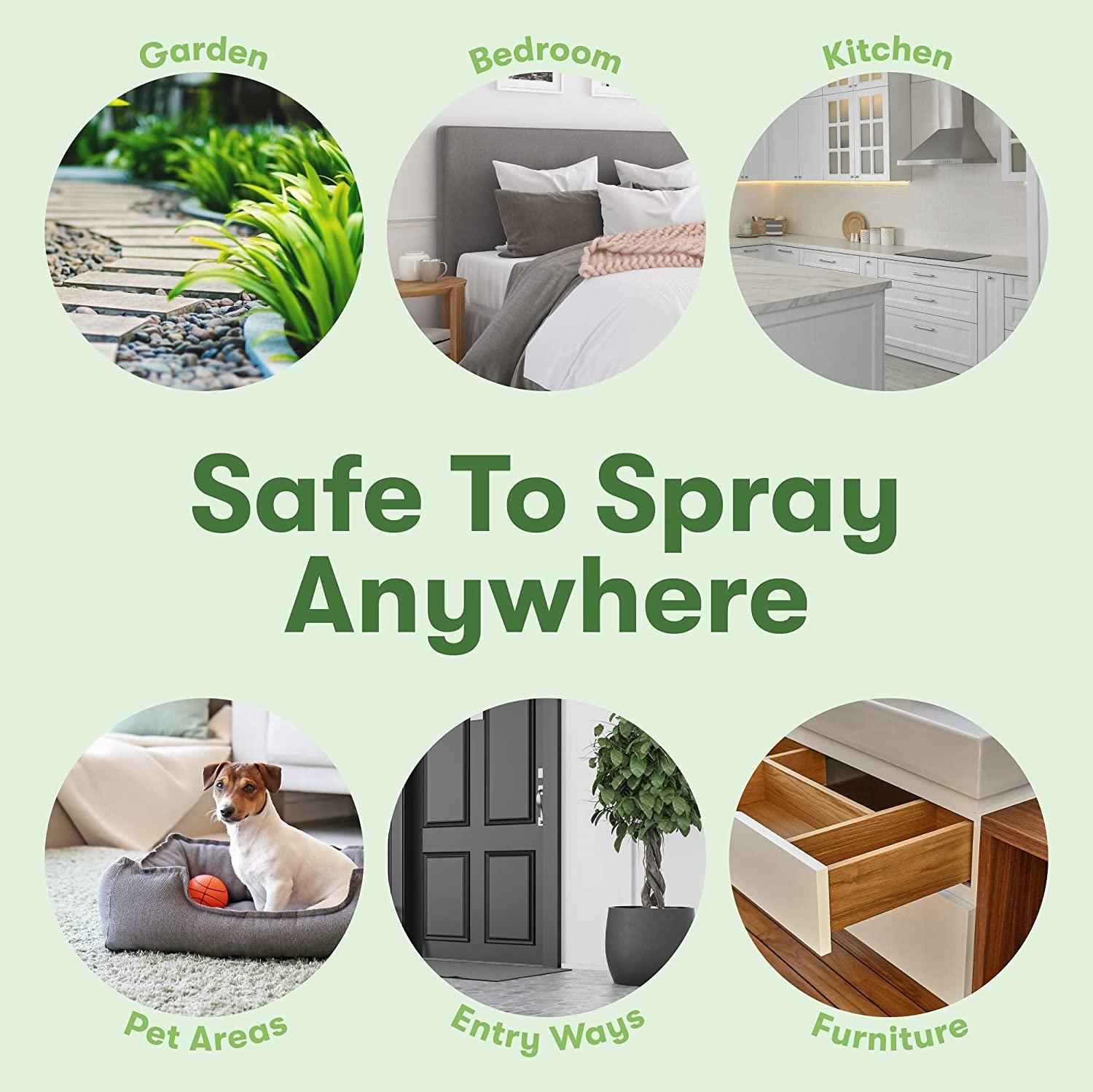 Pest Control Essential Oil Concentrate 3.7 oz - Plant-Based BugMD Spray ...