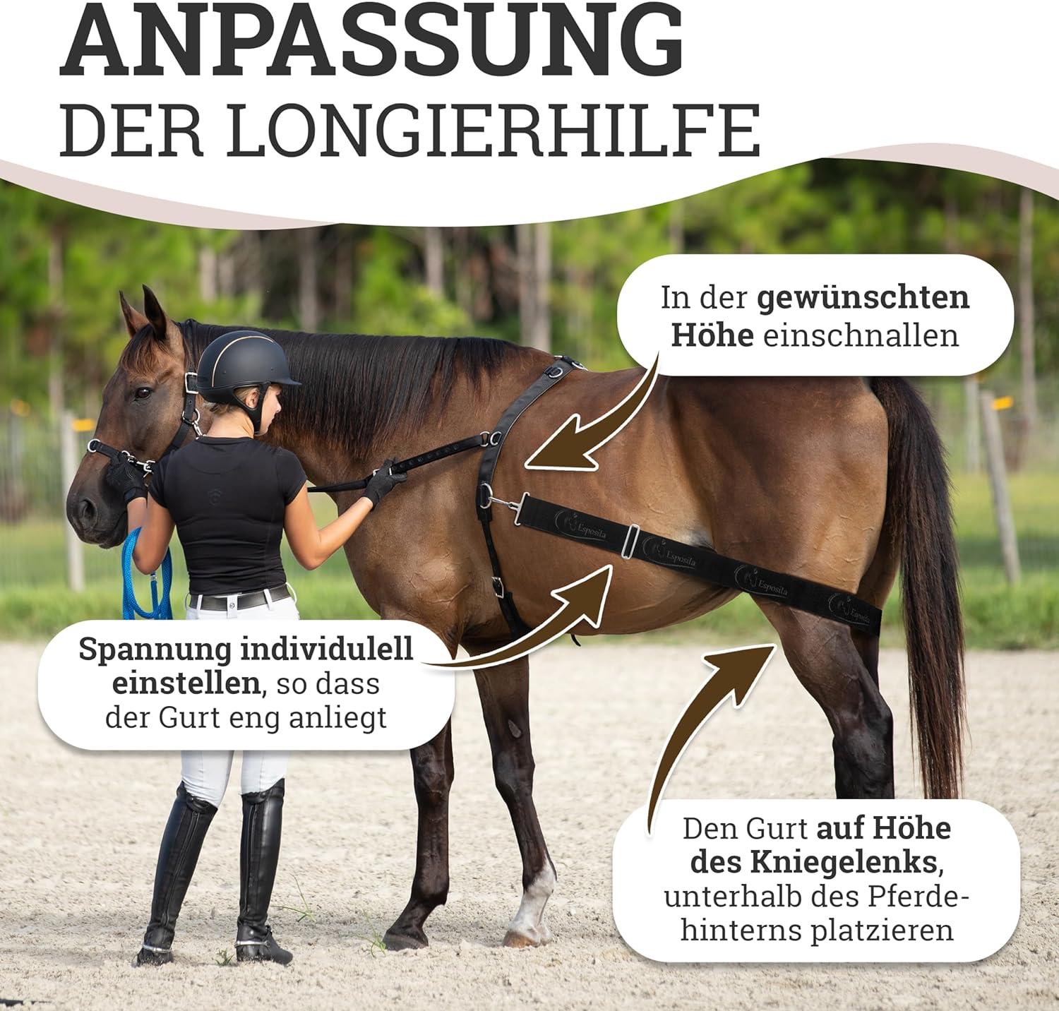 Esposita Elastic Lunging Aid Horse Pony Body Band Horses Floor Work ...