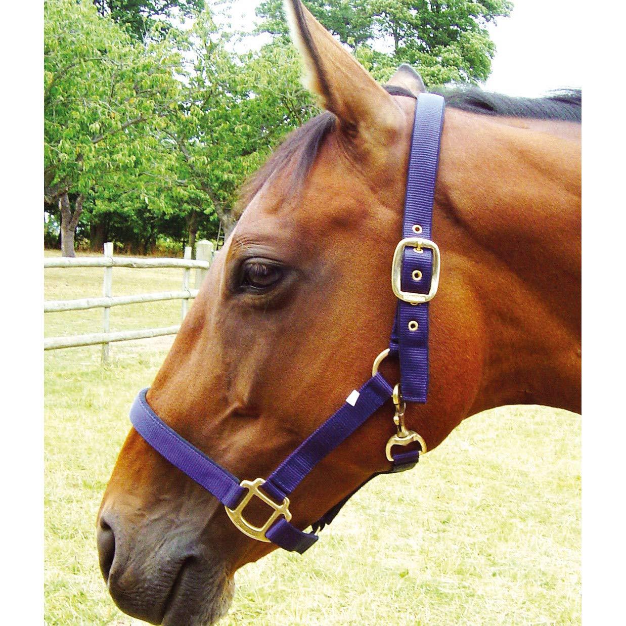 Jumpers Horse Line Jhl Padded Headcollar Cob Size Navy | Buy Now with ...