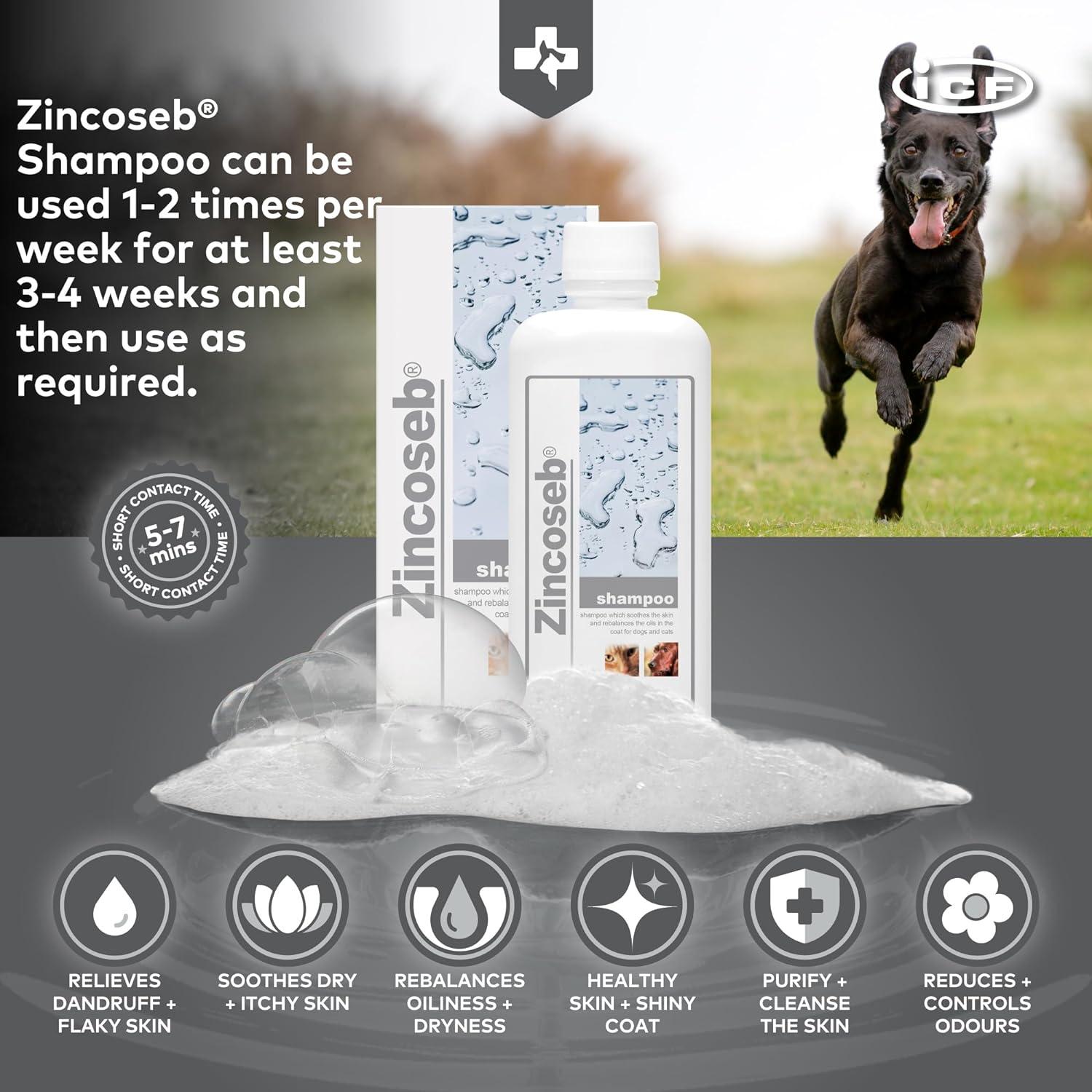 ICF Zincoseb Dog Shampoo for Itchy Skin Relief Anti Itch + Antifungal ...