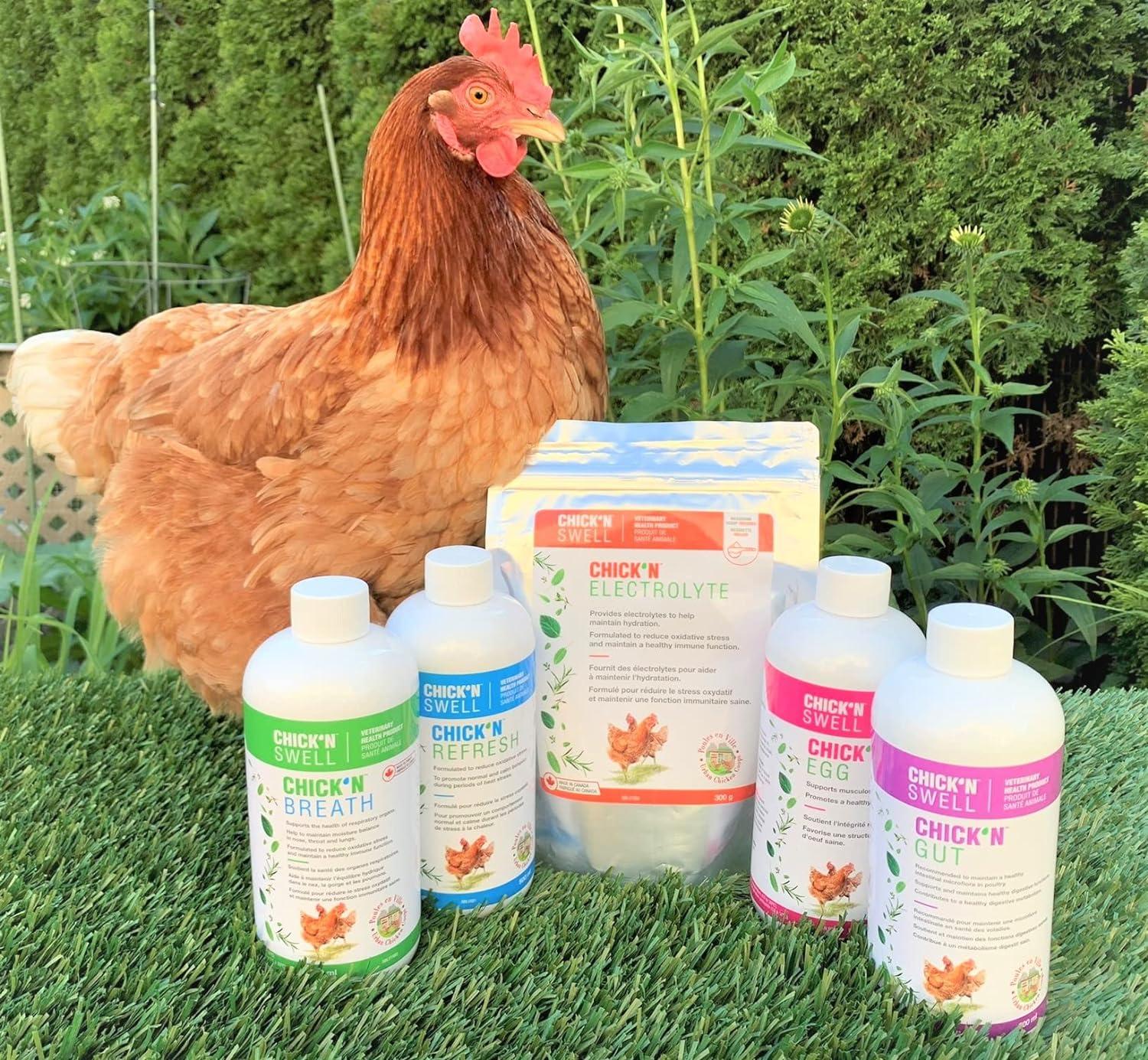Chick'n Calcium & Vitamin D3 Supplement for Poultry Chicks and Turkeys ...