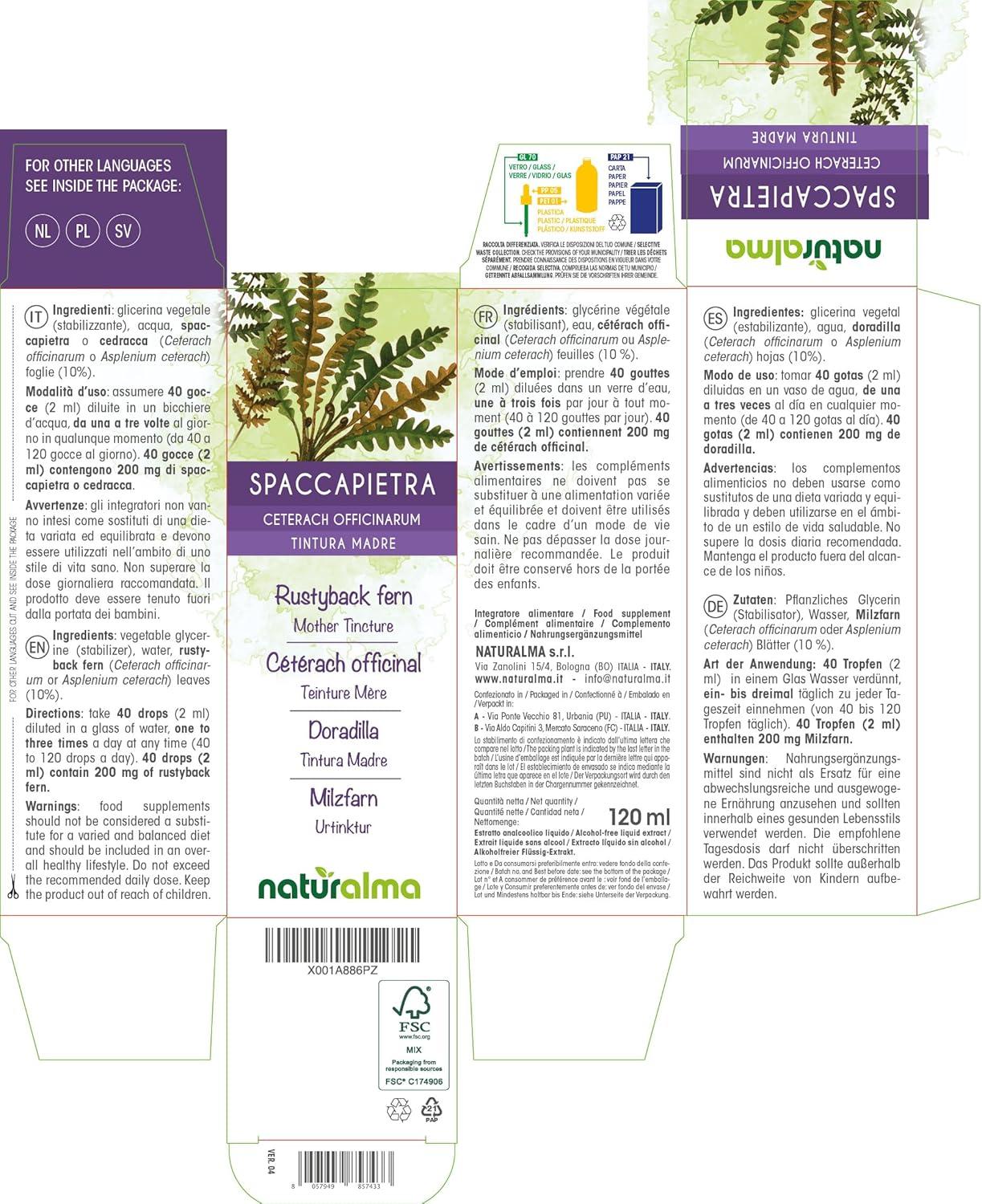 Spleen Fern Mother Tincture | Alcohol-Free Liquid Extract Drops | Vegan ...