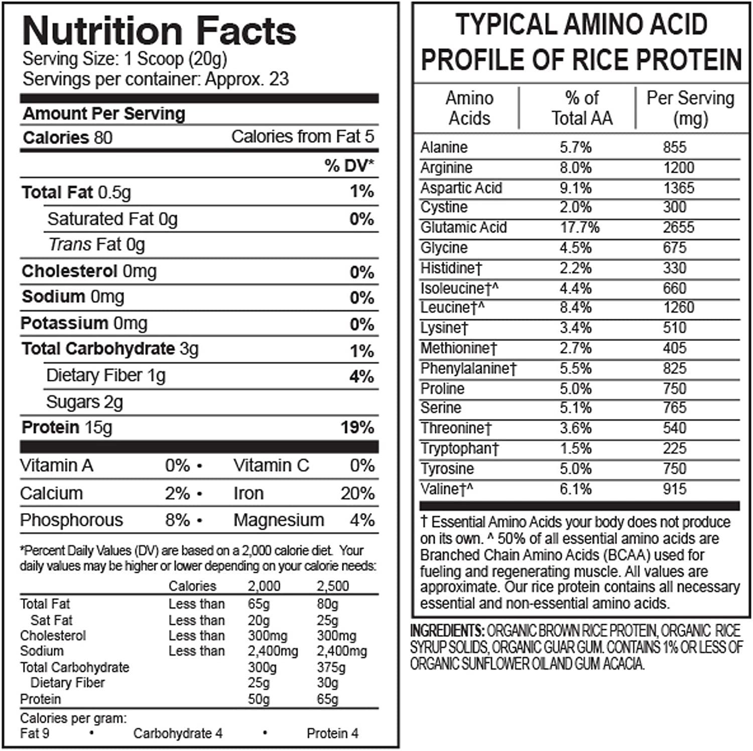Growing Naturals Organic Premium Plant Based Protein Powder - Original ...
