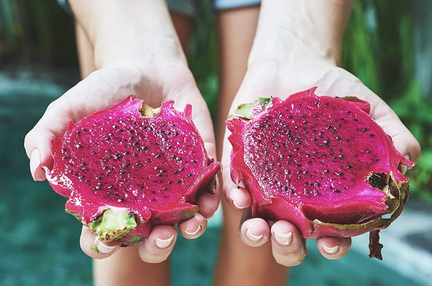 Wilderness Poets Freeze Dried Pink Pitahaya Dragon Fruit Powder - 16 ...