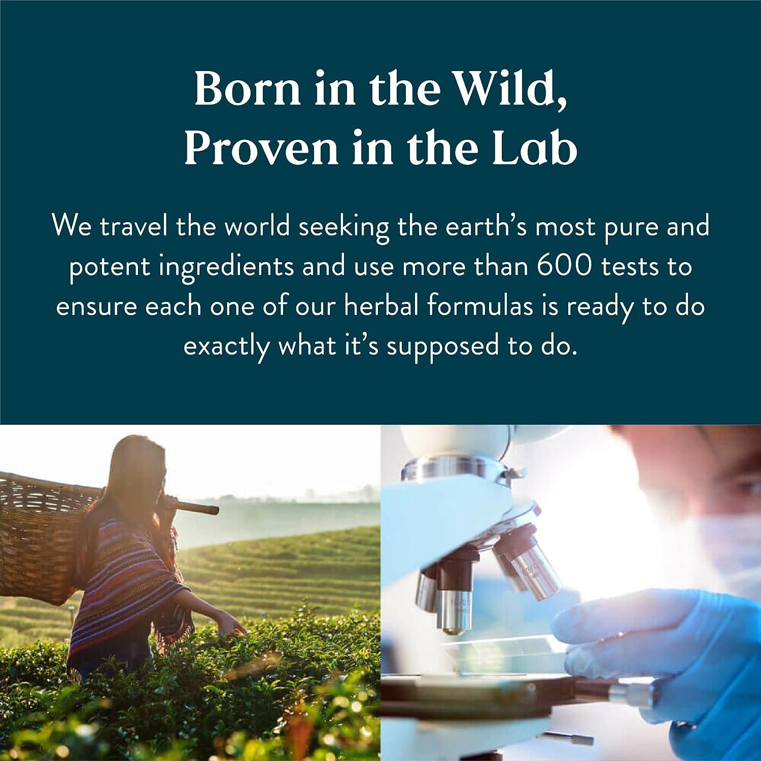 Nature's Sunshine BP-X Capsules | Supports Intestinal Digestive ...