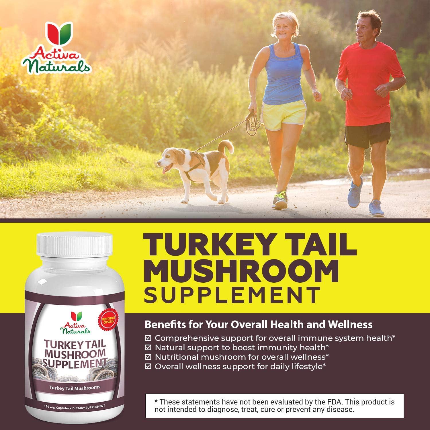 Activa Naturals Turkey Tail Mushroom Supplement - 120 Veg. Capsules ...