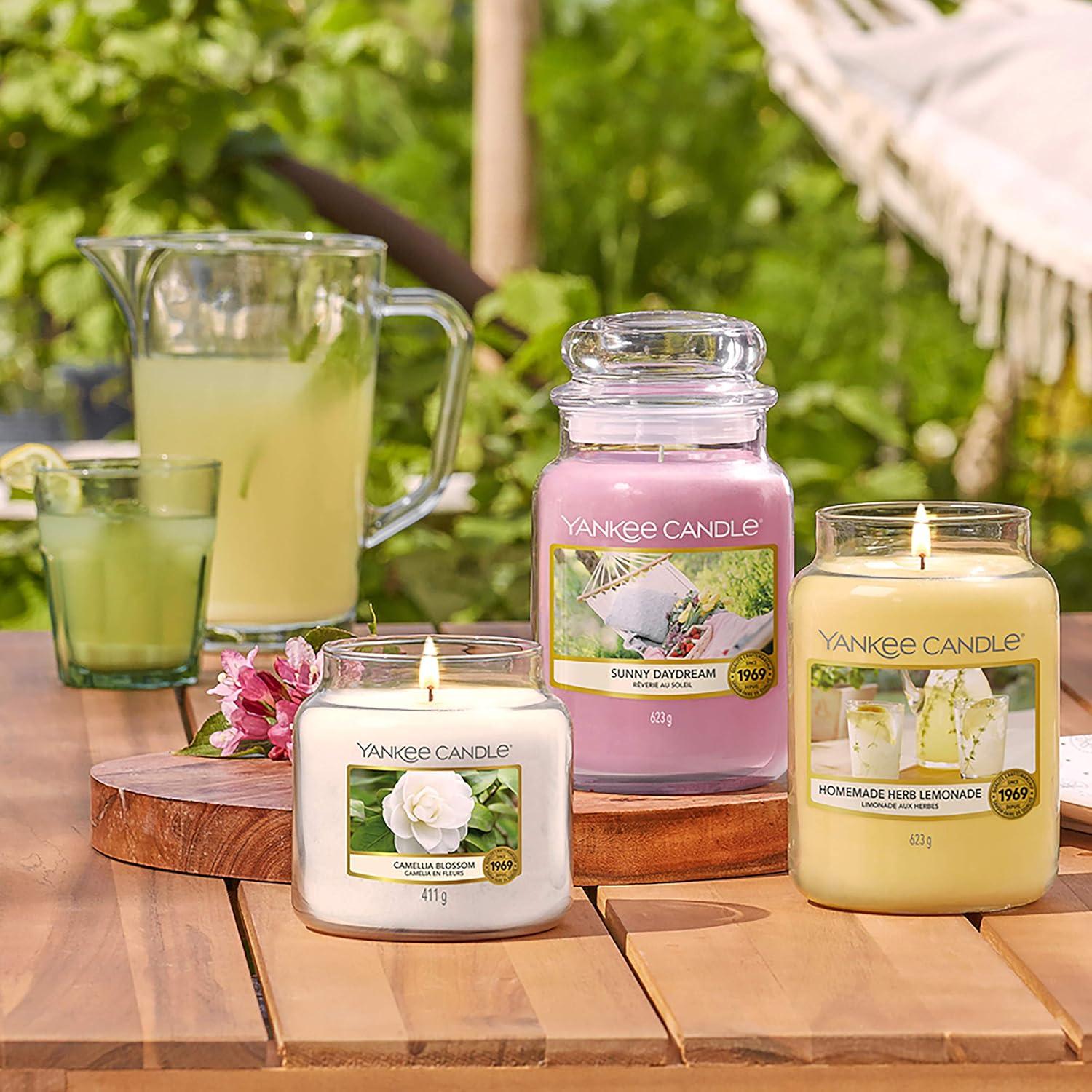 Yankee Candle Sunny Daydream Large Glass Candle | 150 Hour Burn Time ...