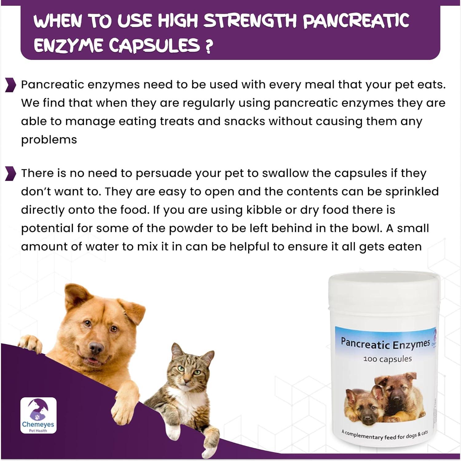 Pancreatic Digestive Enzyme Capsules for Dogs & Cats - Amylase and ...
