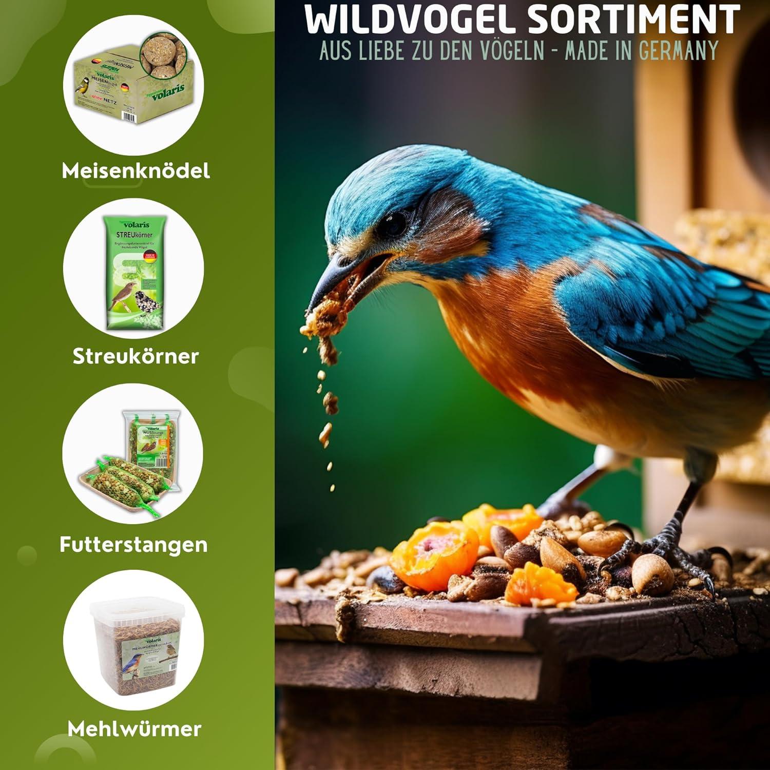 Eggersmann Volaris Bird Food 1kg - High Energy & Fat-Rich Streuk rner ...