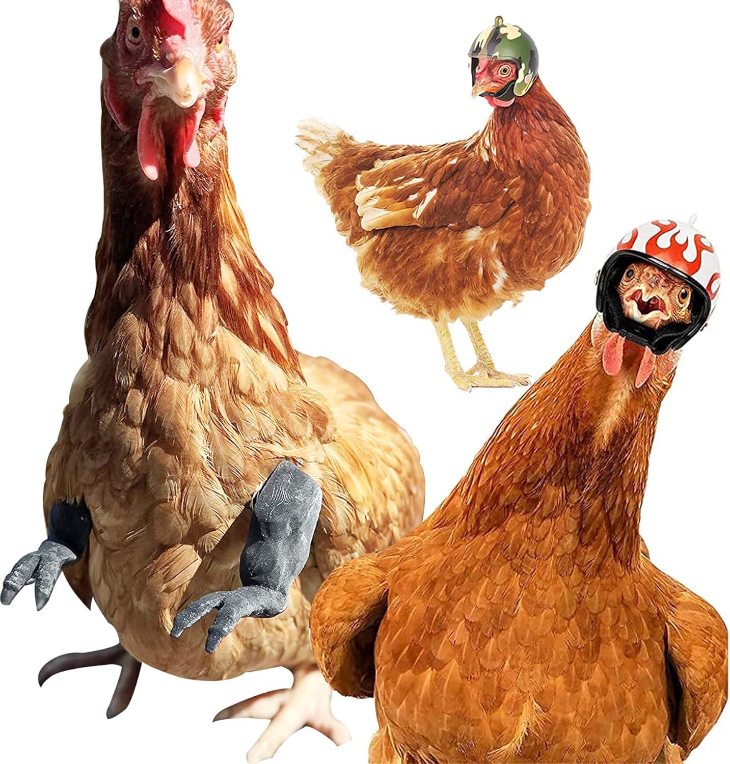 Allazone 3-Piece Chicken Helmet Set | Protective Pet Bird Hat & Chicken ...