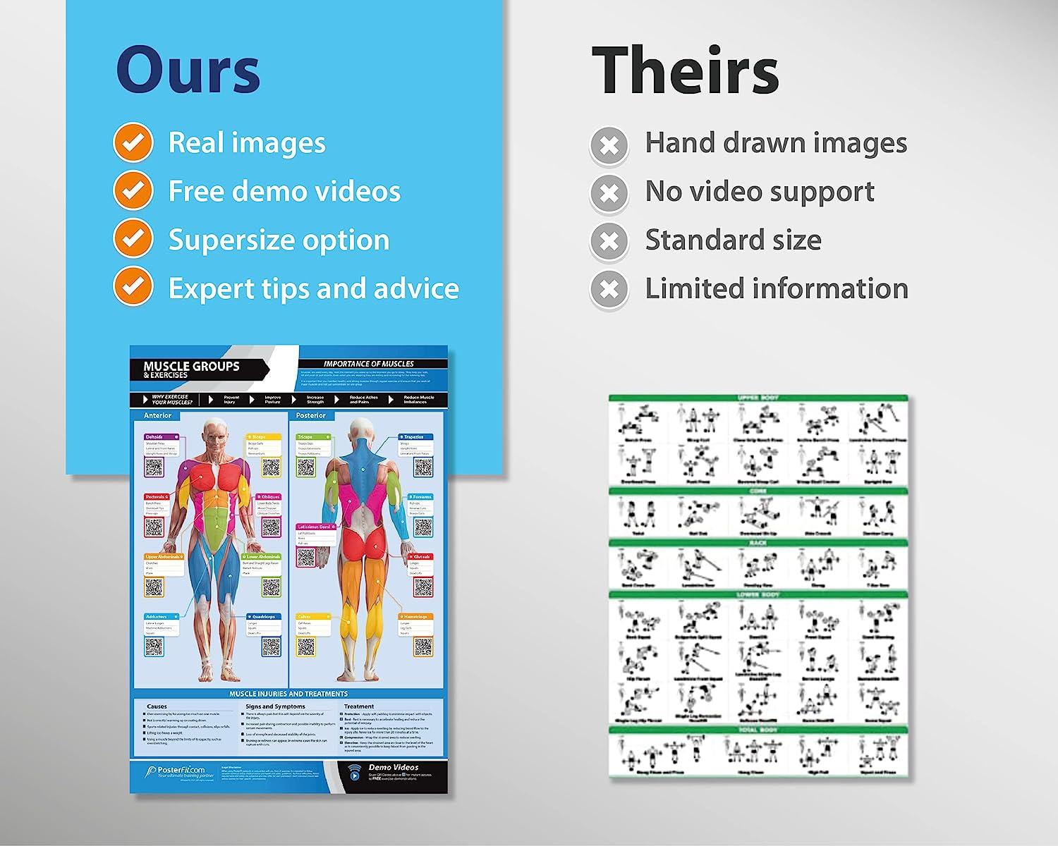 Home Gym Workout Posters Set | Muscle Group Chart for Exercise ...