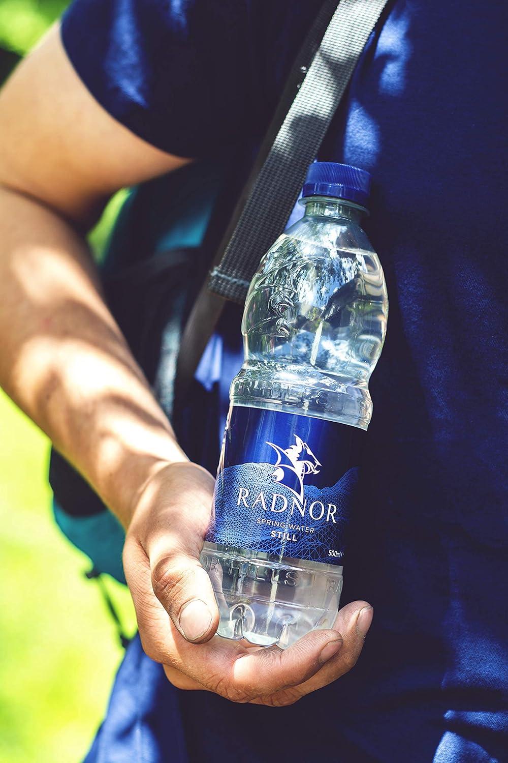 Radnor Hills Mineral Water 24x500ml - Screw Cap Bottle | Premium ...