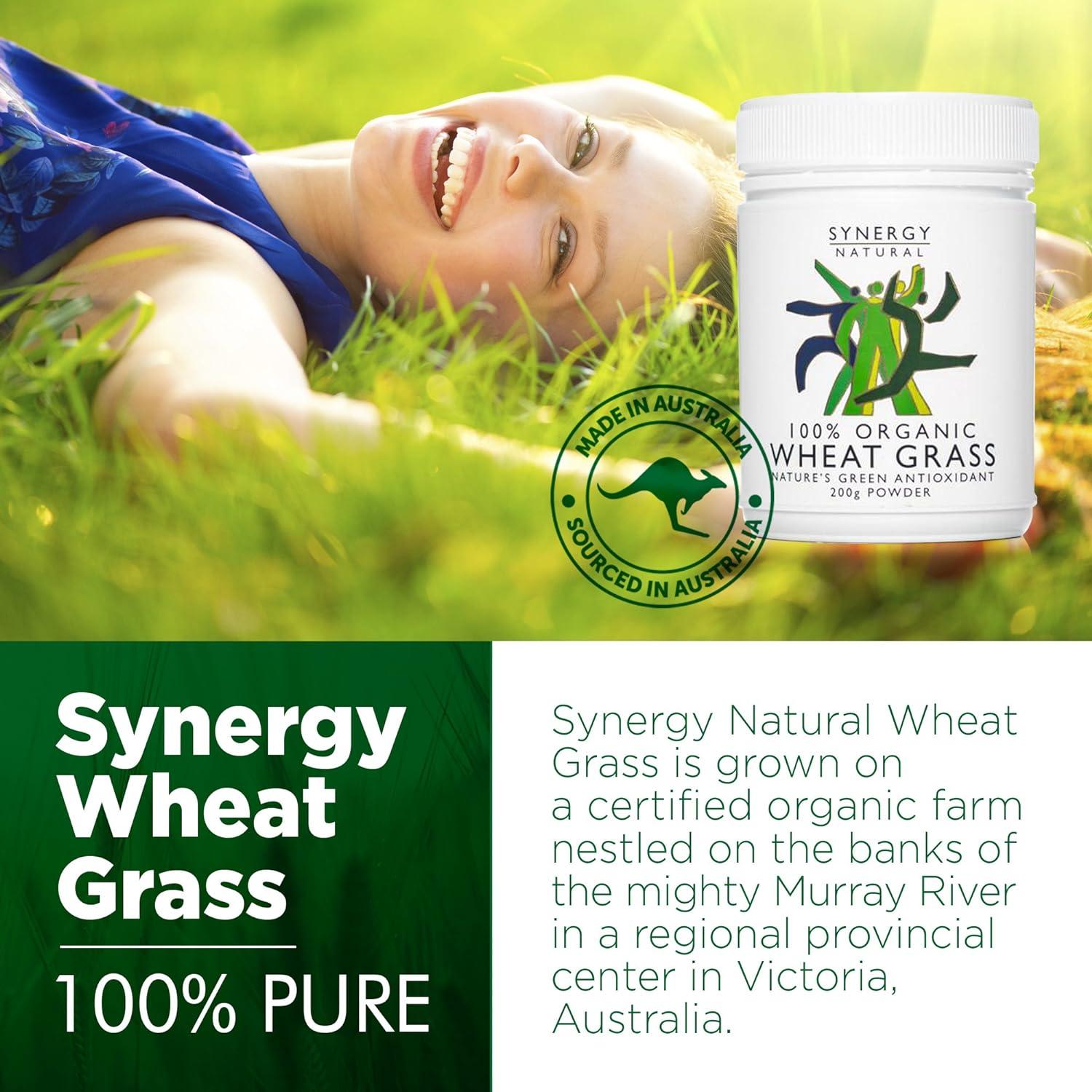 Synergy 200g Wheat Grass Powder - Pure and Potent Superfood Supplement ...