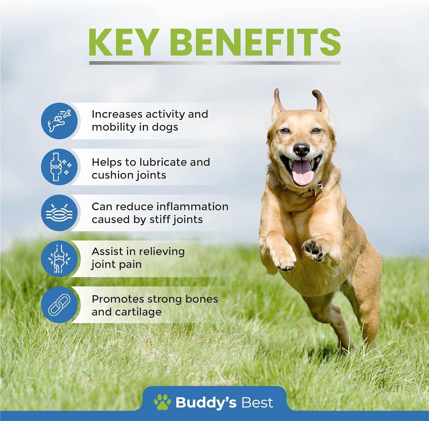 Buddy's Best Dog Joint Aid & Relief Plus 50ml - Fast Acting Formula for ...
