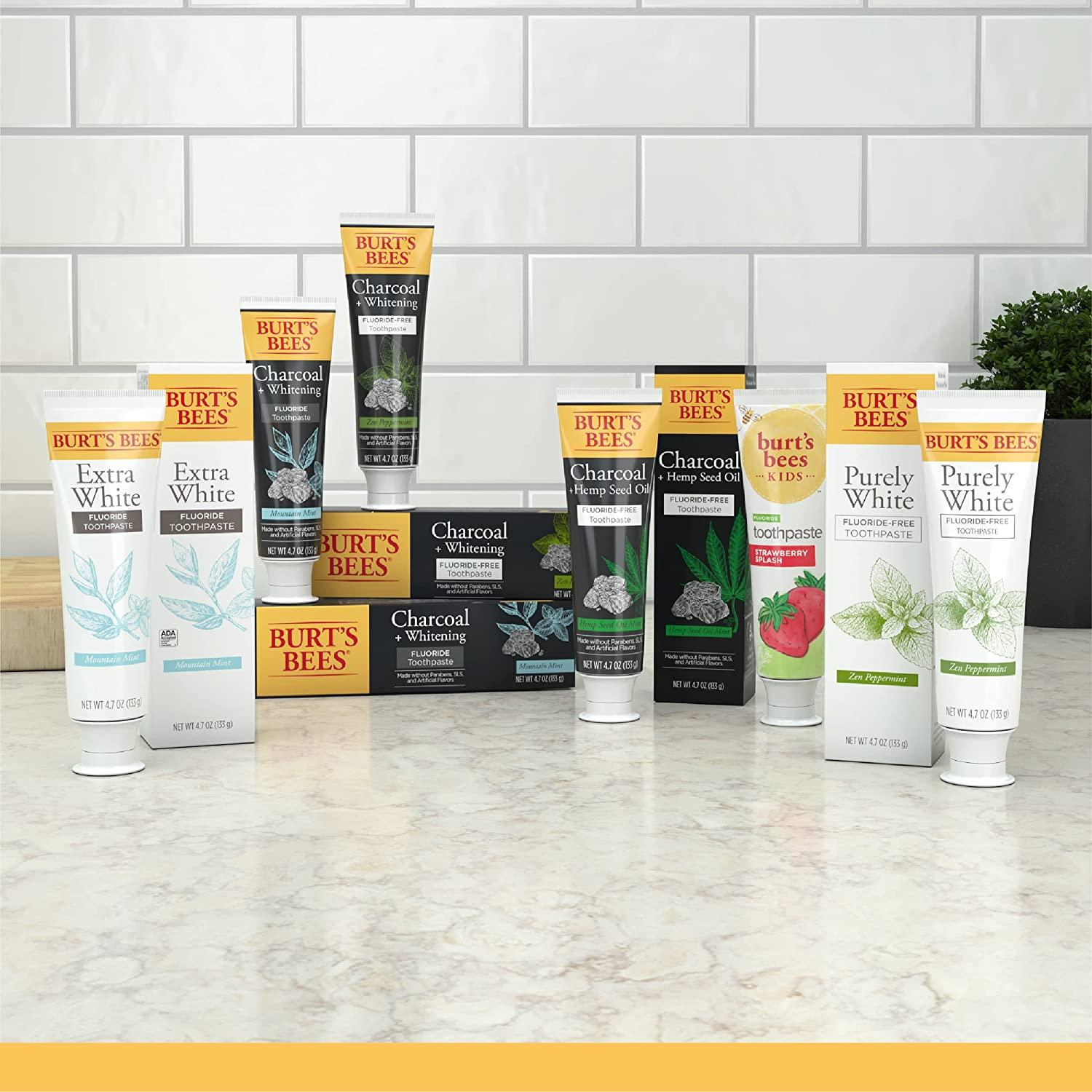 Burt's Bees Fluoride-Free Toothpaste 4.7 oz (Pack of 3) | Natural ...