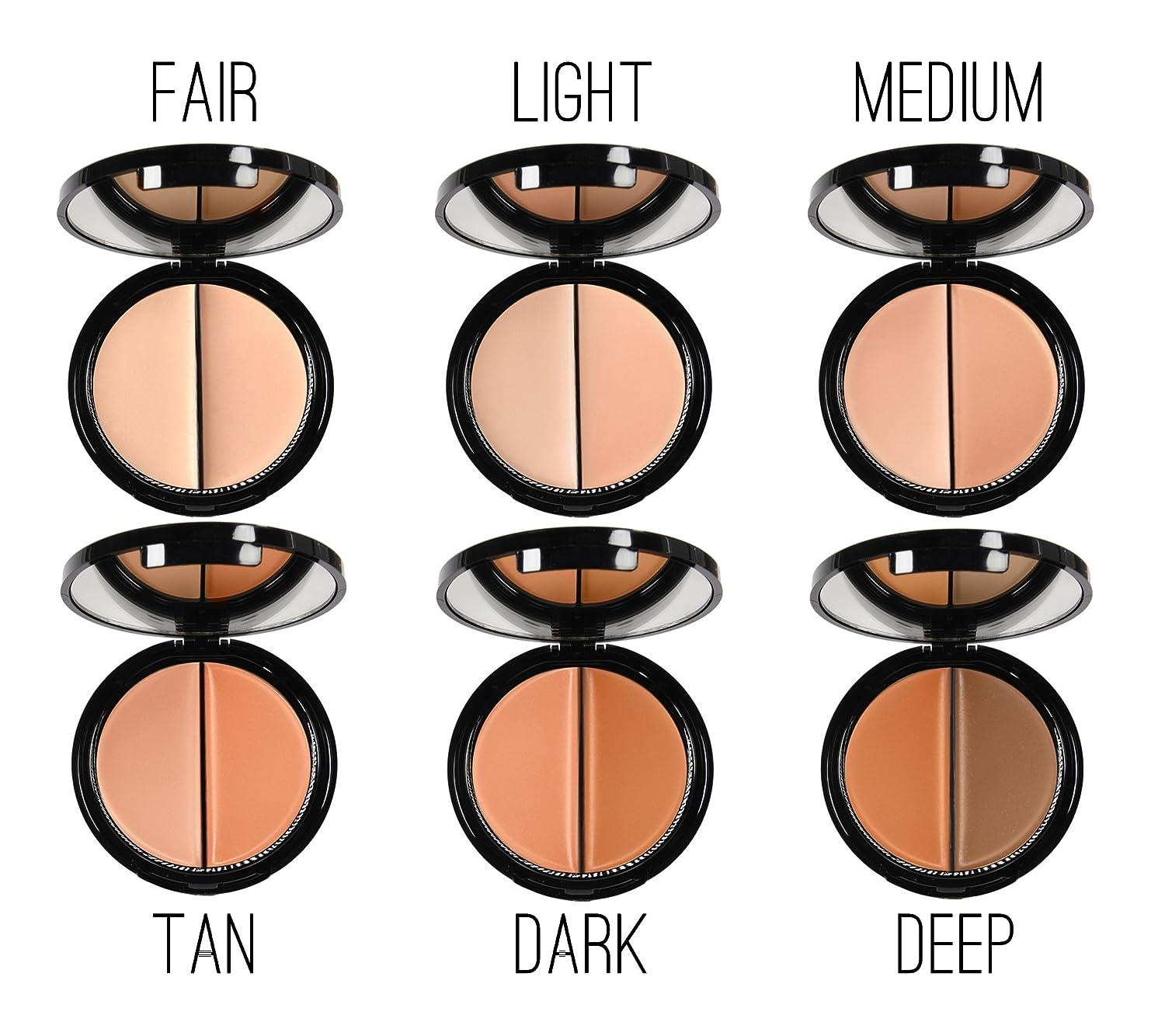 EVE PEARL Dual Salmon Concealer And 202 Concealer Blender Brush Full ...