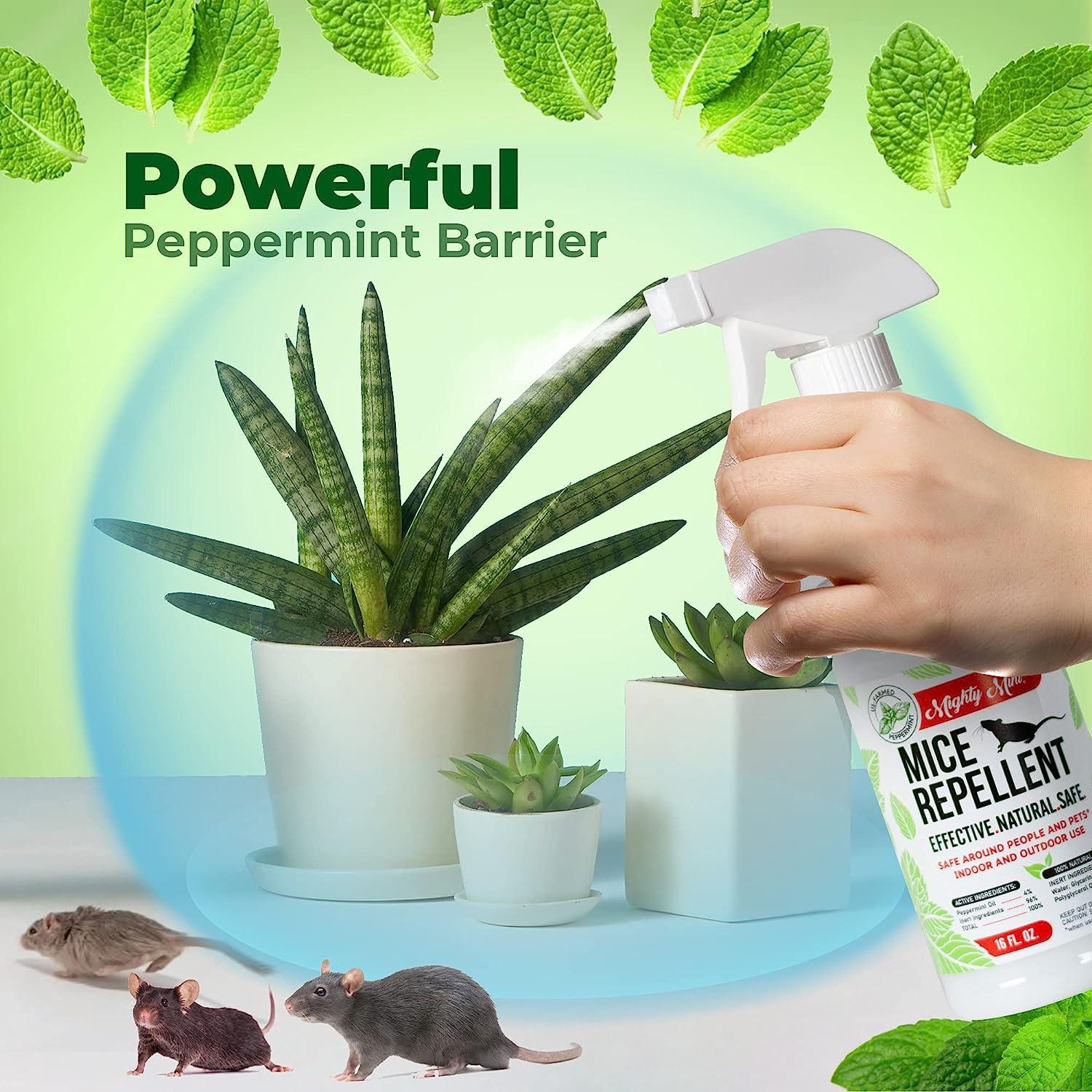 Mighty Mint 16oz Peppermint Oil Mice Repellent Spray - Natural Rodent ...
