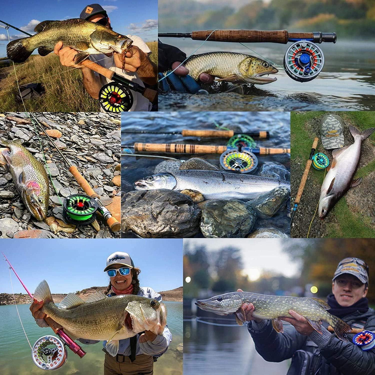 Buy MAXIMUMCATCH Fly Fishing Line - Weight Forward Floating Fly Line ...