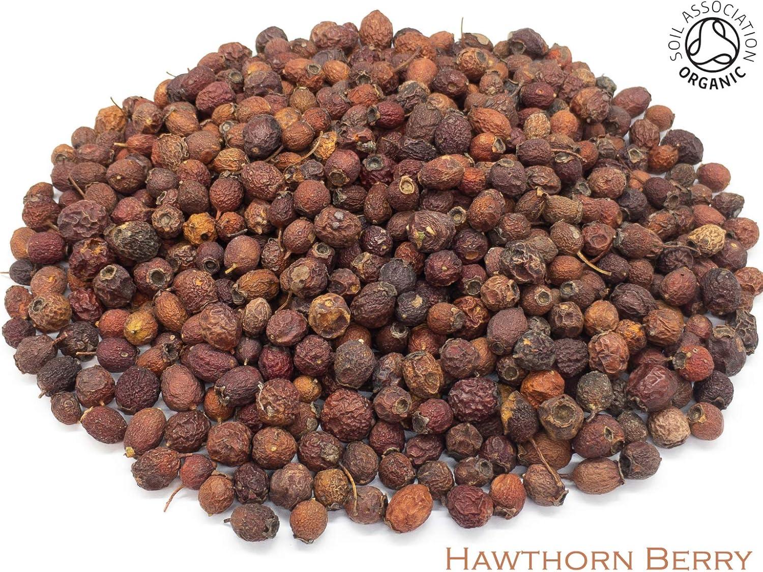 Organic Hawthorn Berry Pure Herbal Infusion (25 Unbleached Tea Bags ...