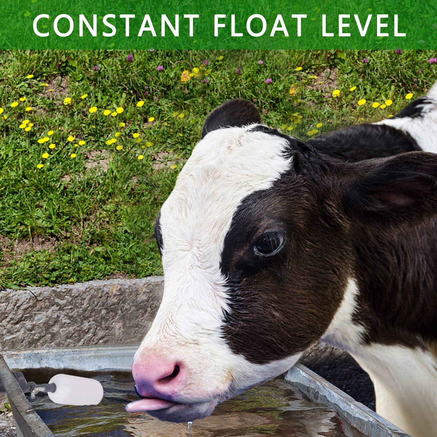 Kwokwei Swimmer Valve - 2pcs Adjustable 1/2 Inch Float Ball Tap for ...