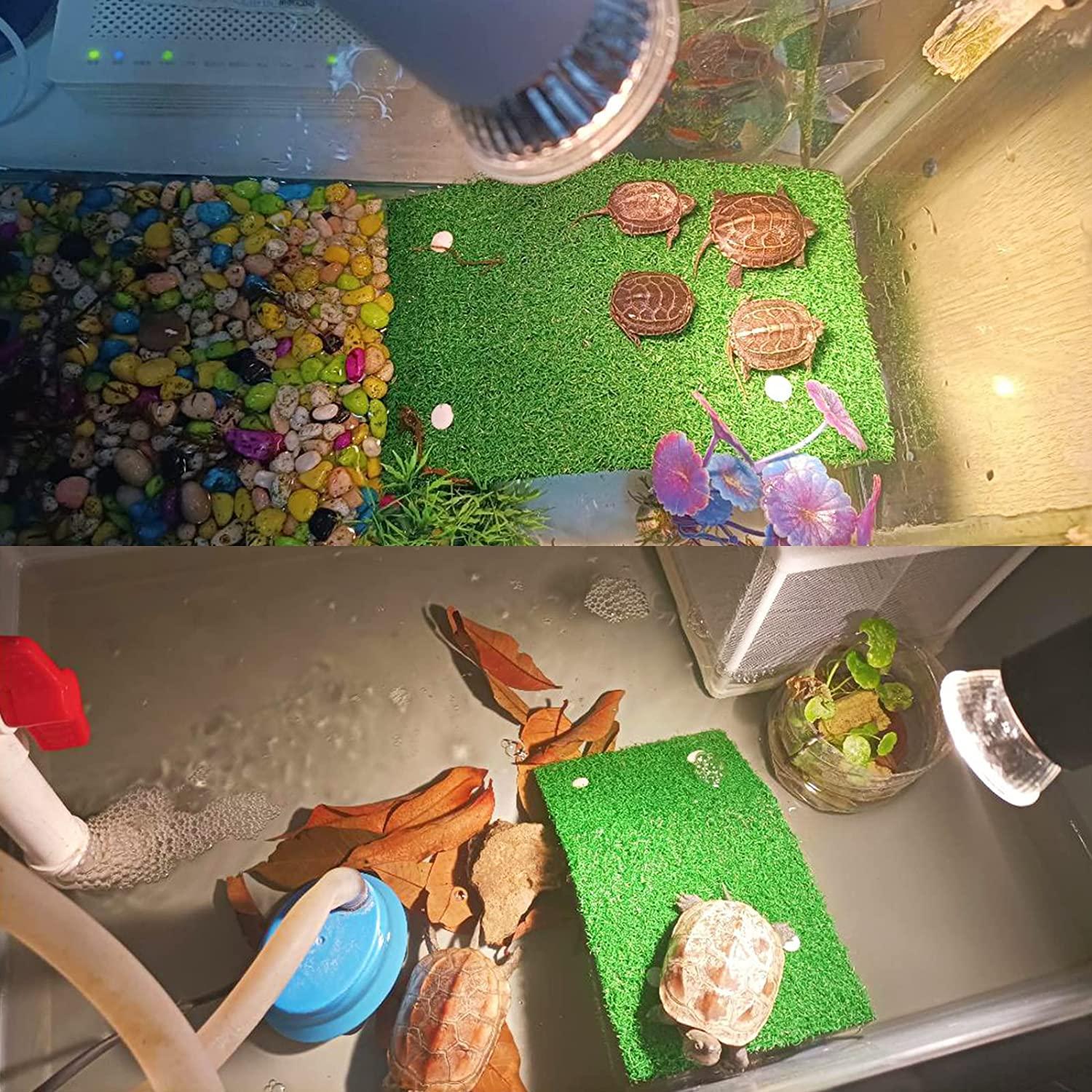 Keedolla Turtle Basking Platform: Large Green Grass Ramp for Aquarium ...