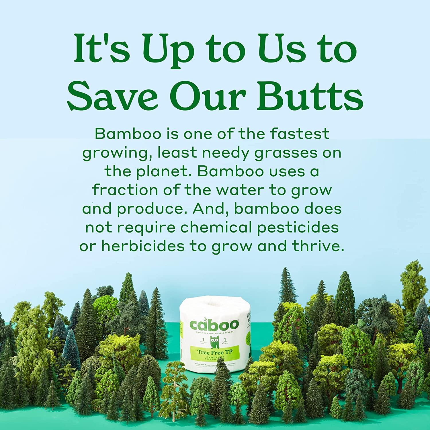 Caboo Tree Free Bamboo Paper Towels 8 Rolls Earth Friendly Sustainable ...