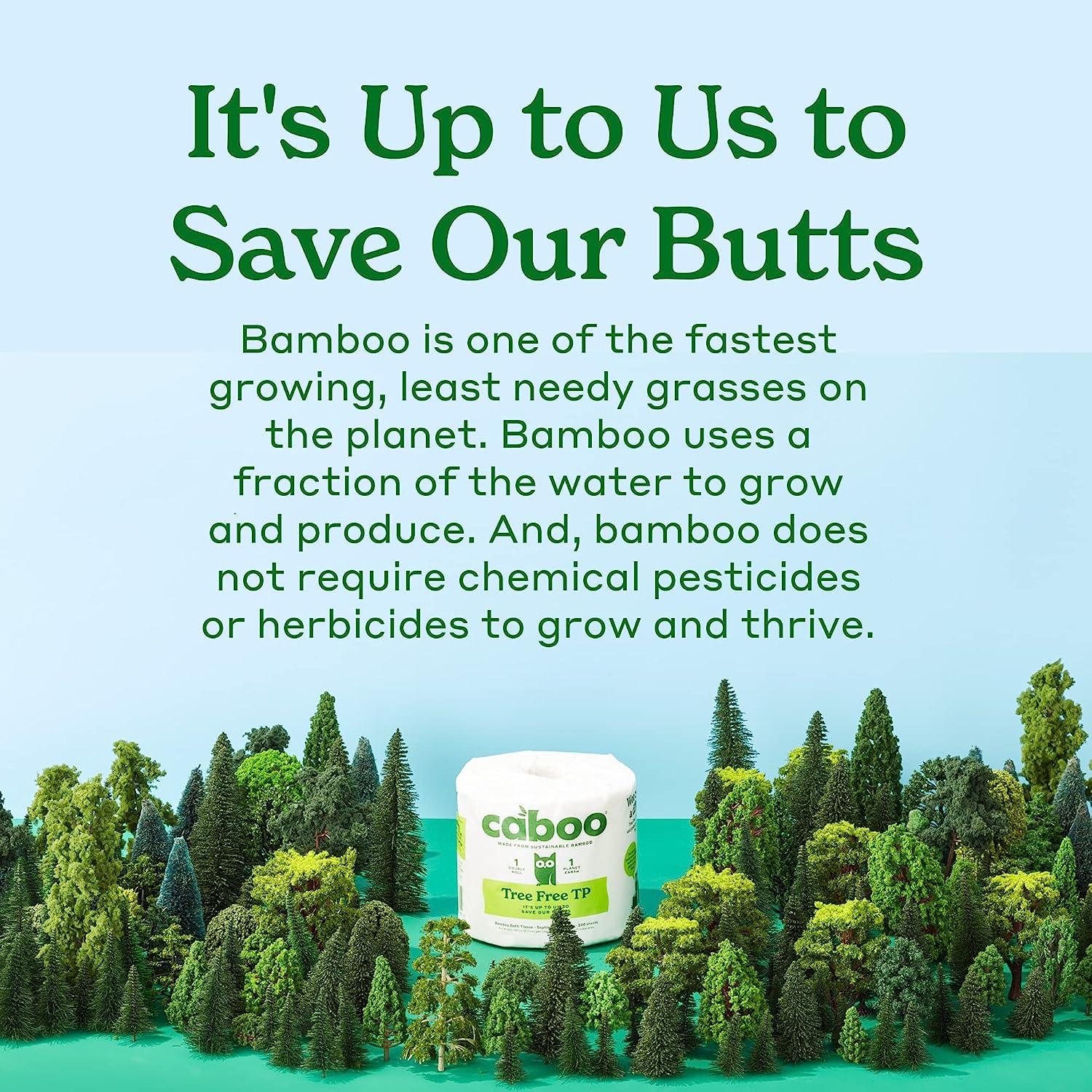 Caboo Tree Free Bamboo Facial Tissue Paper - Eco Friendly ...