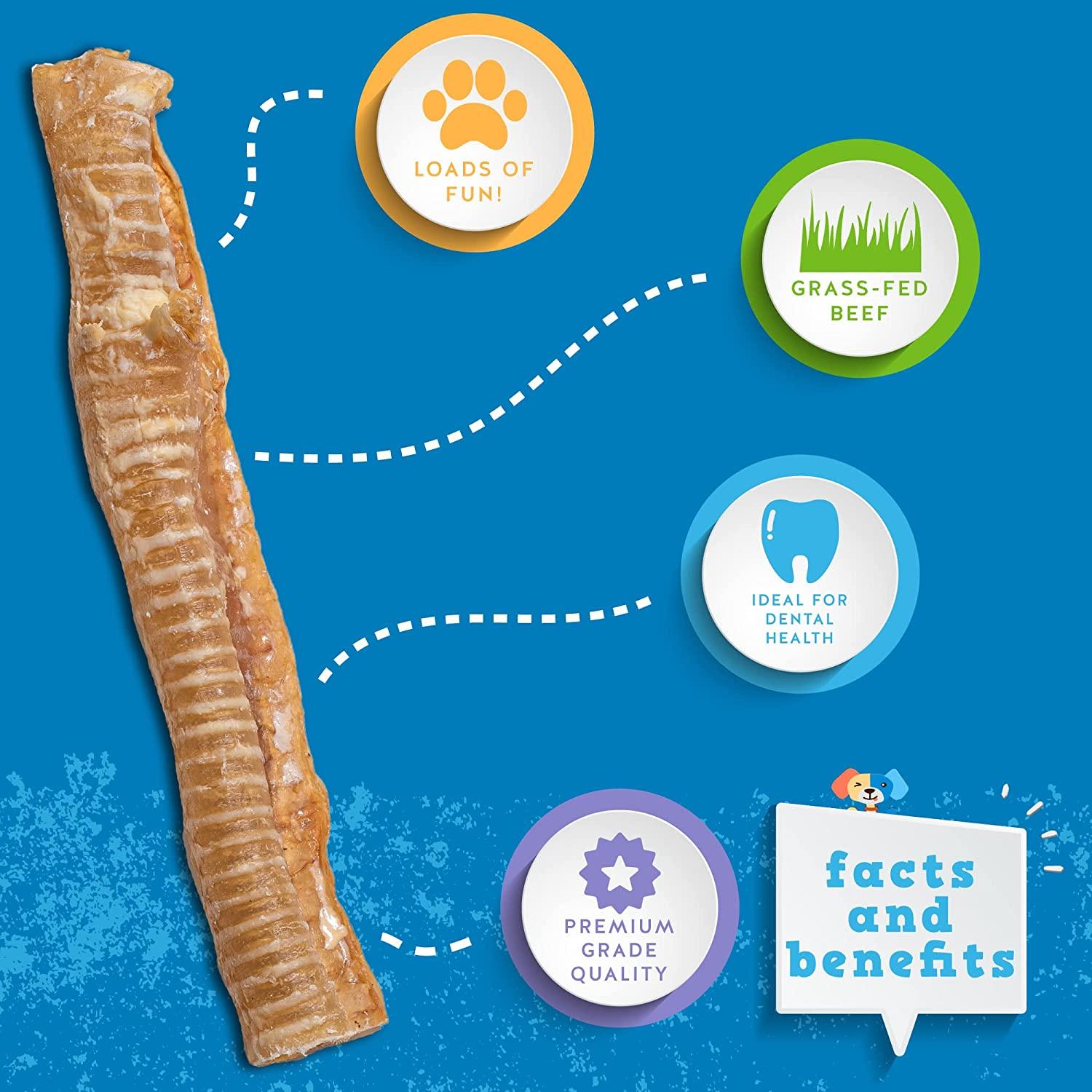 Jack&Pup 12-inch Beef Trachea Dog Chew - 6 Pack of Premium Grade ...