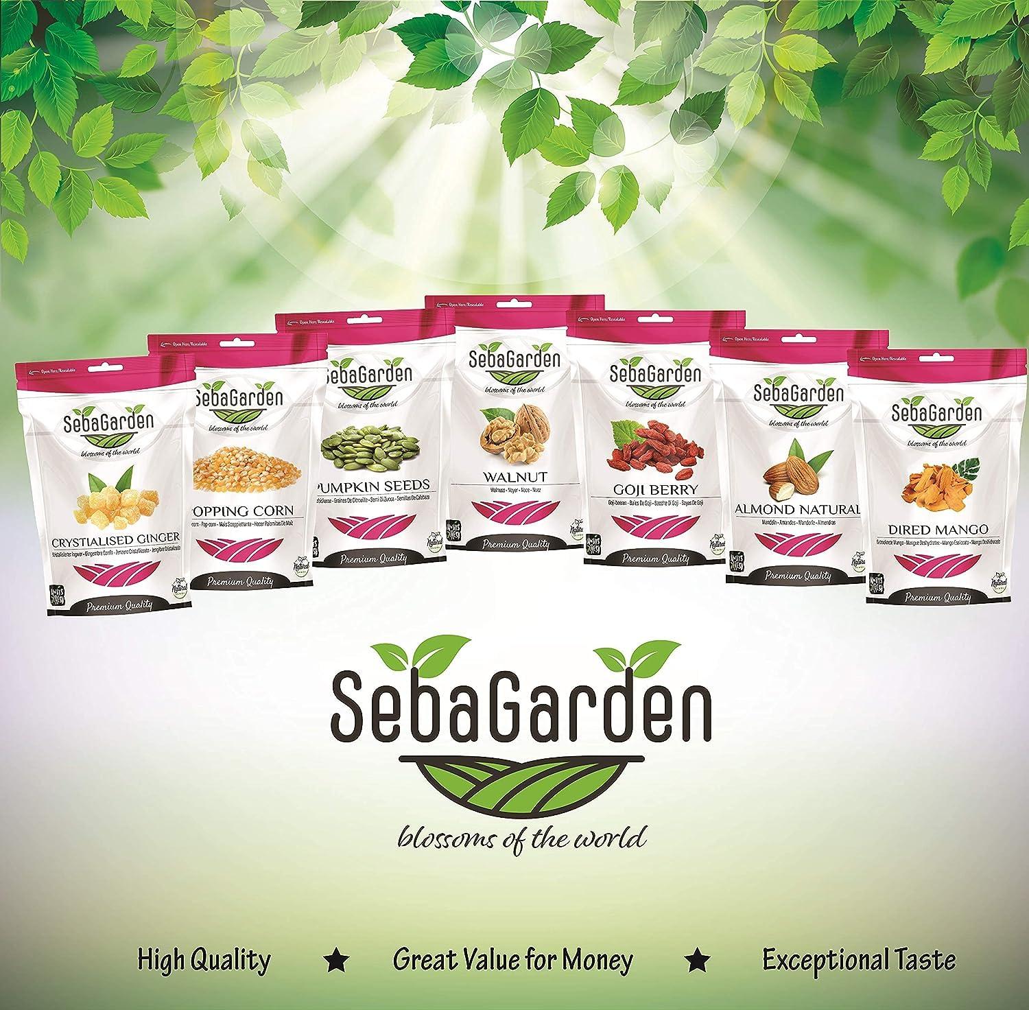 Seba Garden Raw Whole Cashew Nuts 1kg - Freshly Packed Keto-Friendly ...