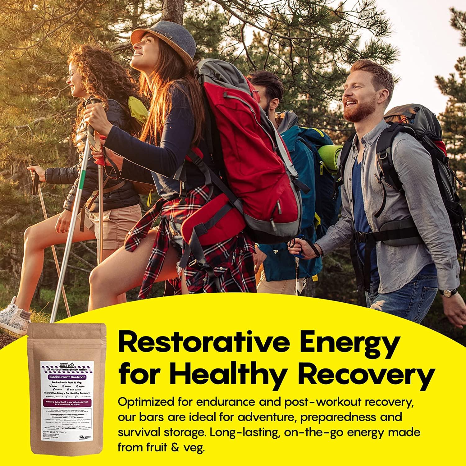 Nature's Juice Bar Blackcurrant Beetroot Fruit Bars - Emergency Meal Replacement for Survival ...