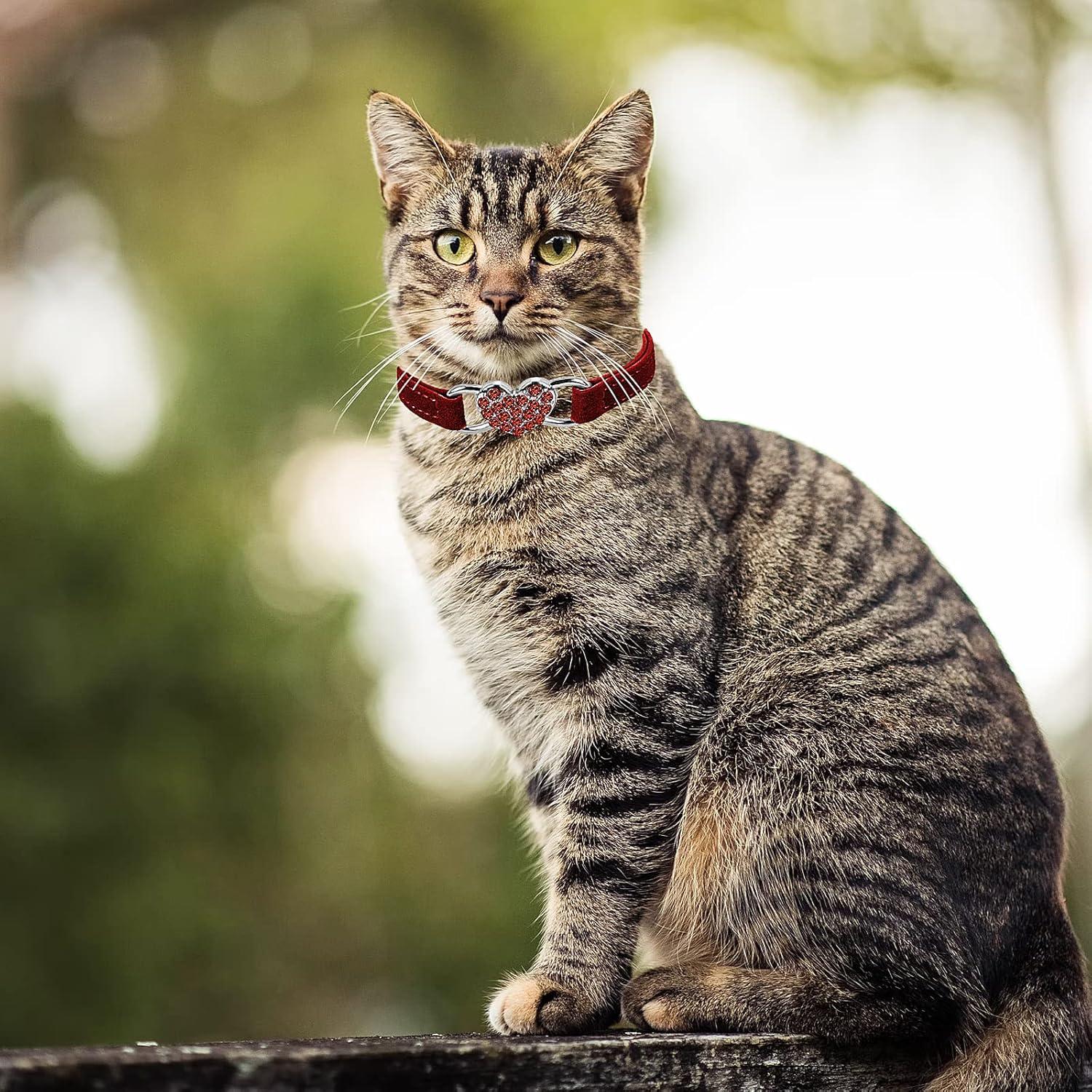 Cobee Bling Heart Cat Neck Band with Bell - Adjustable Rhinestone Pet ...