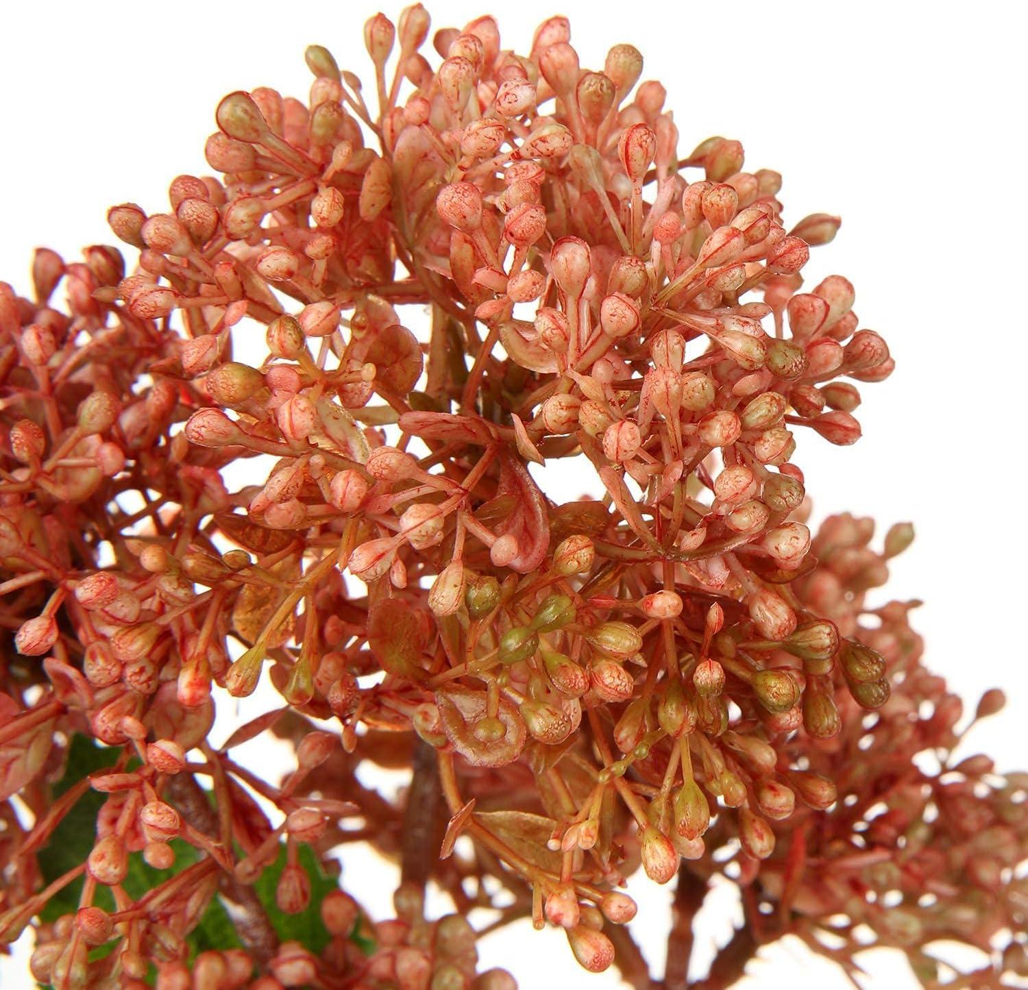 Fire Orange Pepperberry Artificial Berry Stems - 20 Inch Holly ...