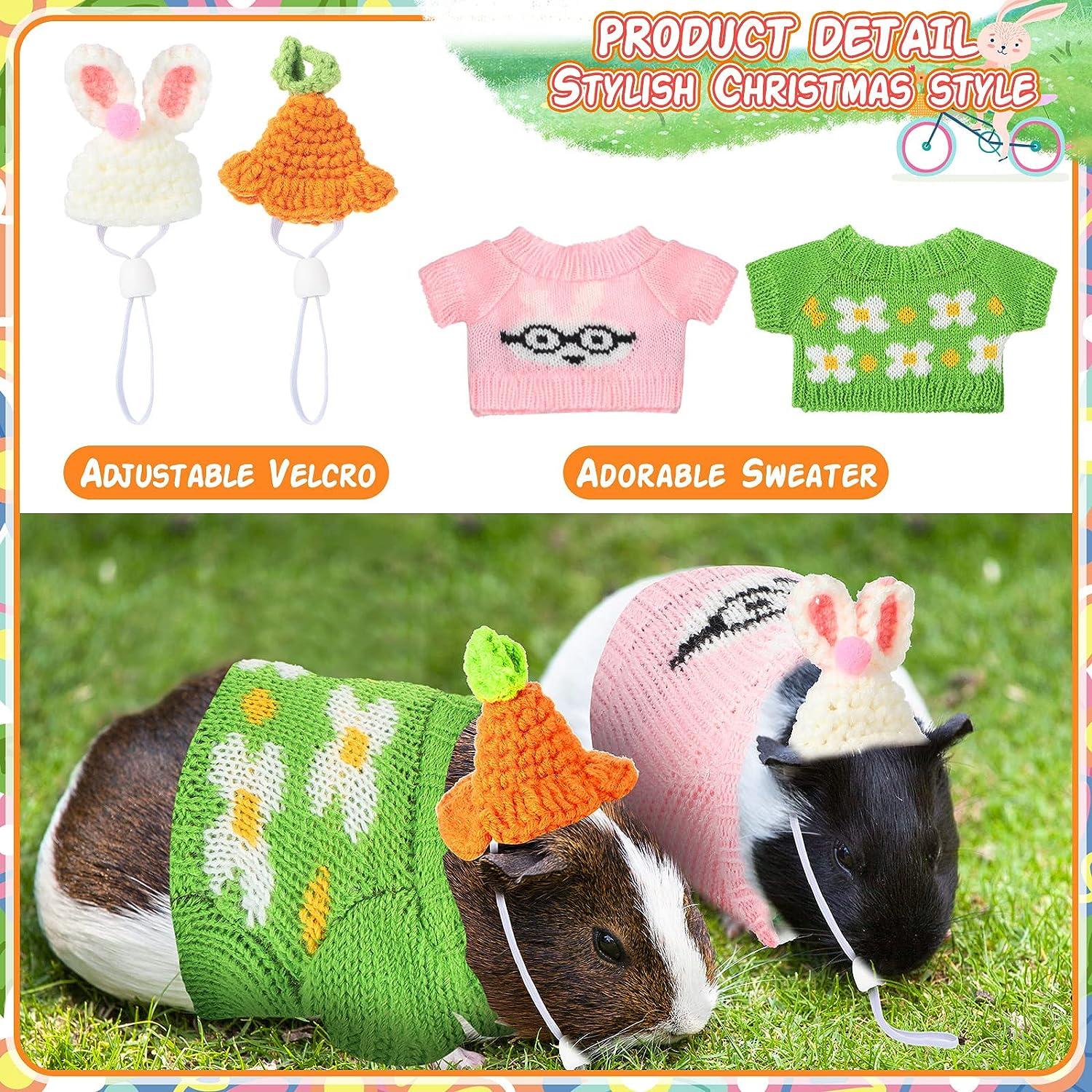 Cozy Guinea Pig Pattern