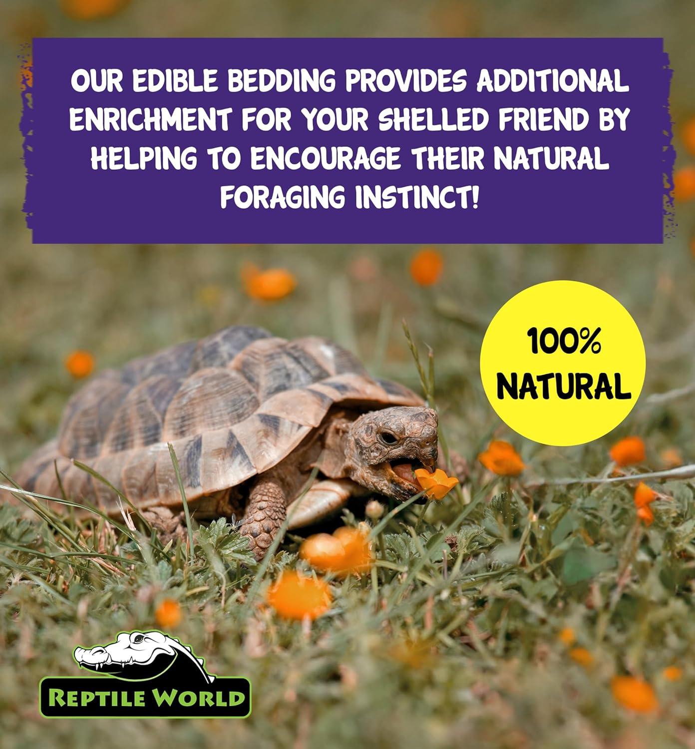 Reptile World Tortoise Edible Bedding 10L Bag - Botanical Food for ...