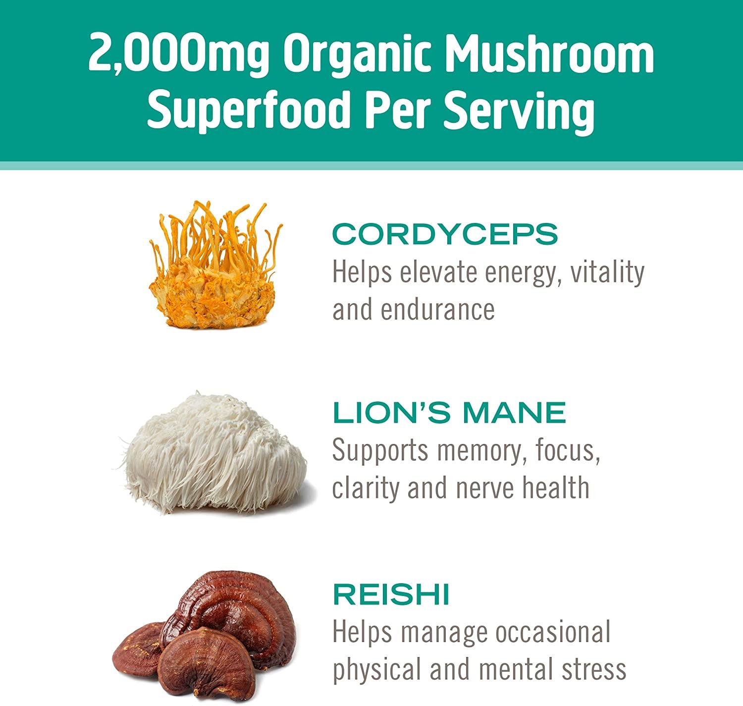 Om Mushroom Superfood Fit Blend - Cordyceps & Reishi Powder Supplement ...