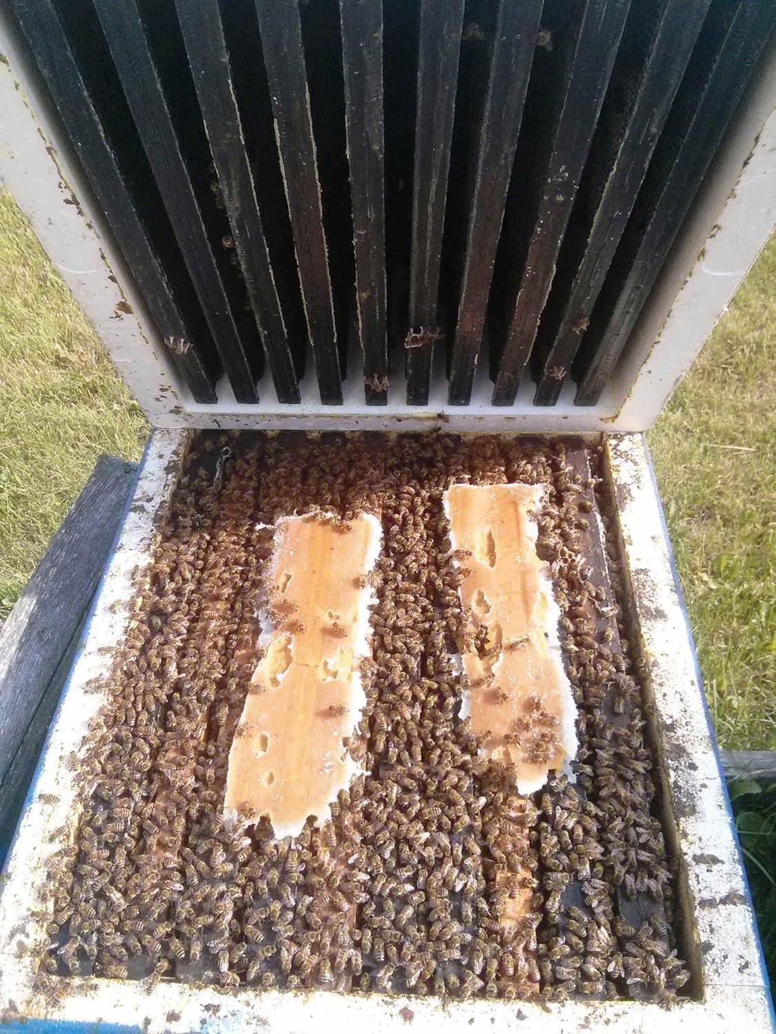 Global Patties 4% Pollen Patties for Bees | 1 lb (approximate weight ...