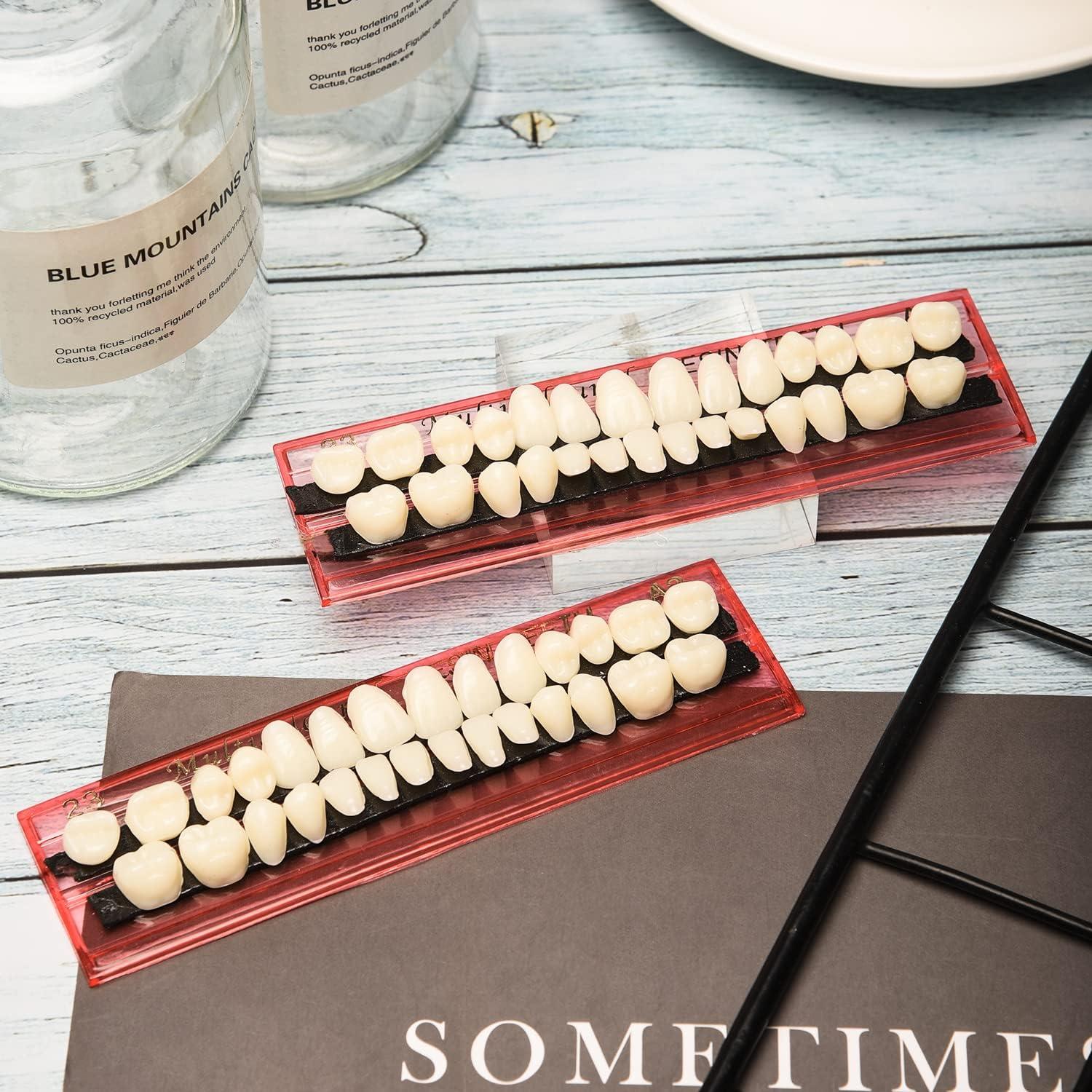 Nauze 3 Sets Dental Acrylic Resin Denture Tooth Kit for Halloween ...